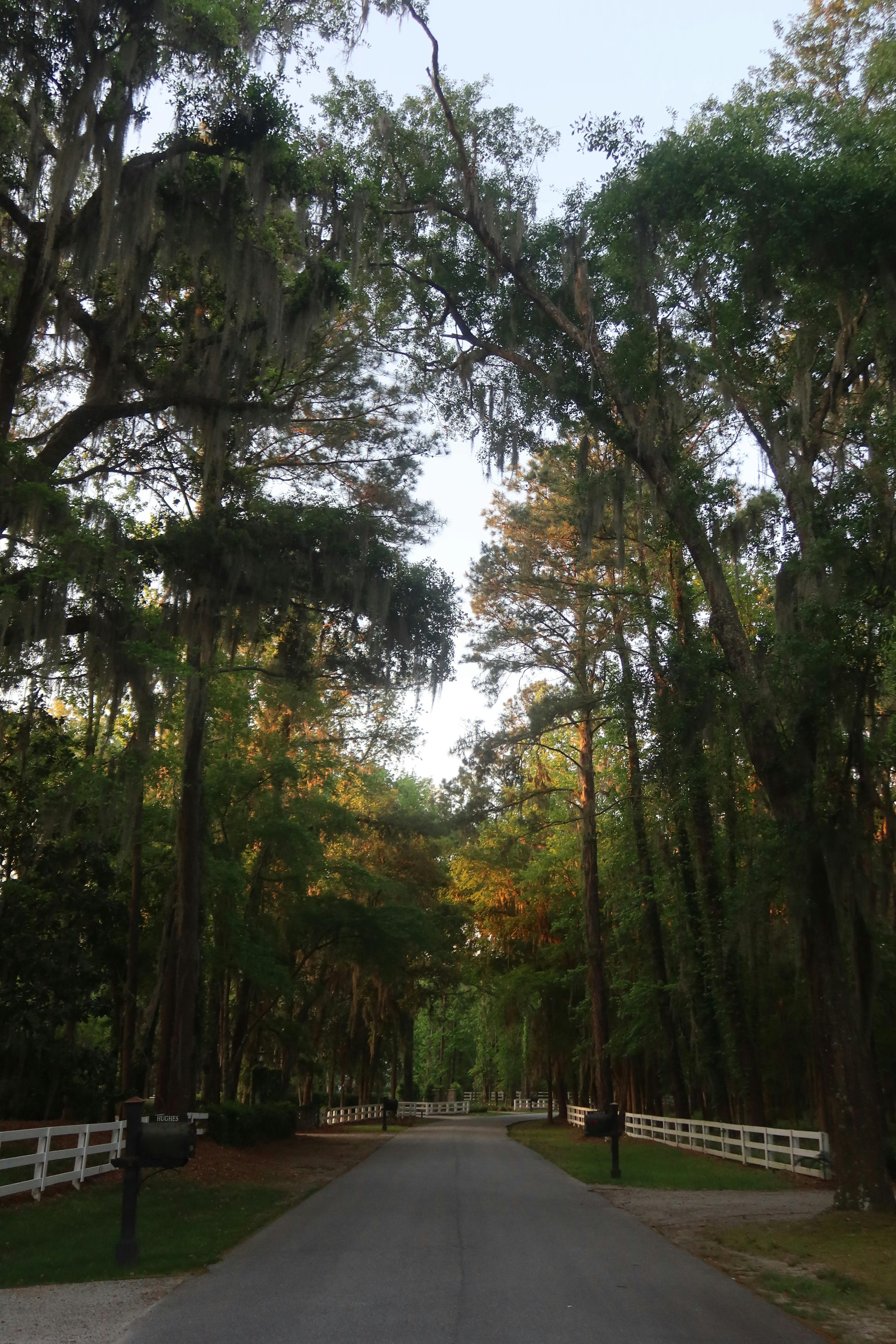 Austin Sullivan - Photography