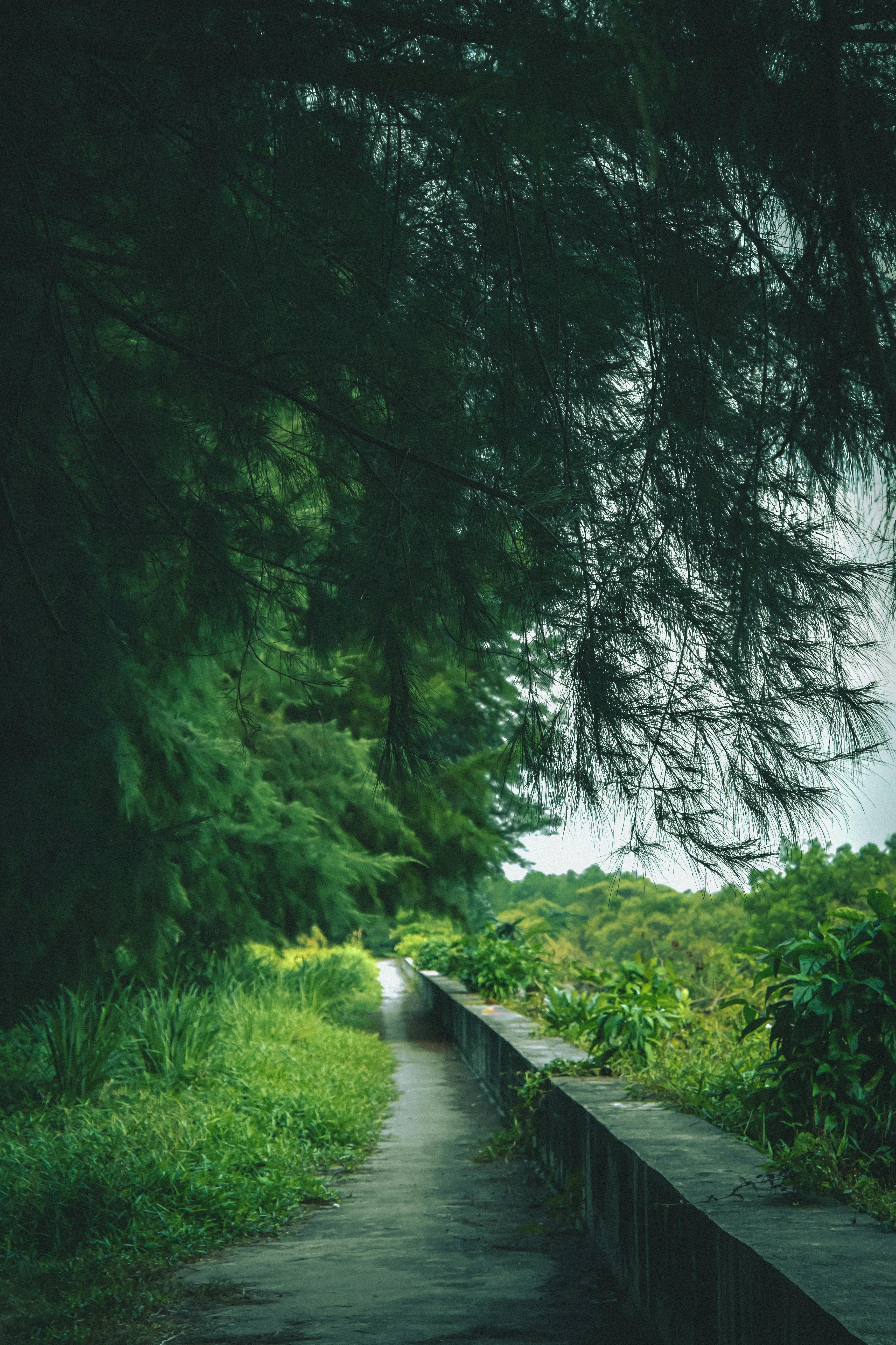 Bokep+Viral+Sange Photos, Download The BEST Free Bokep+Viral+Sange Stock Photos & HD Images