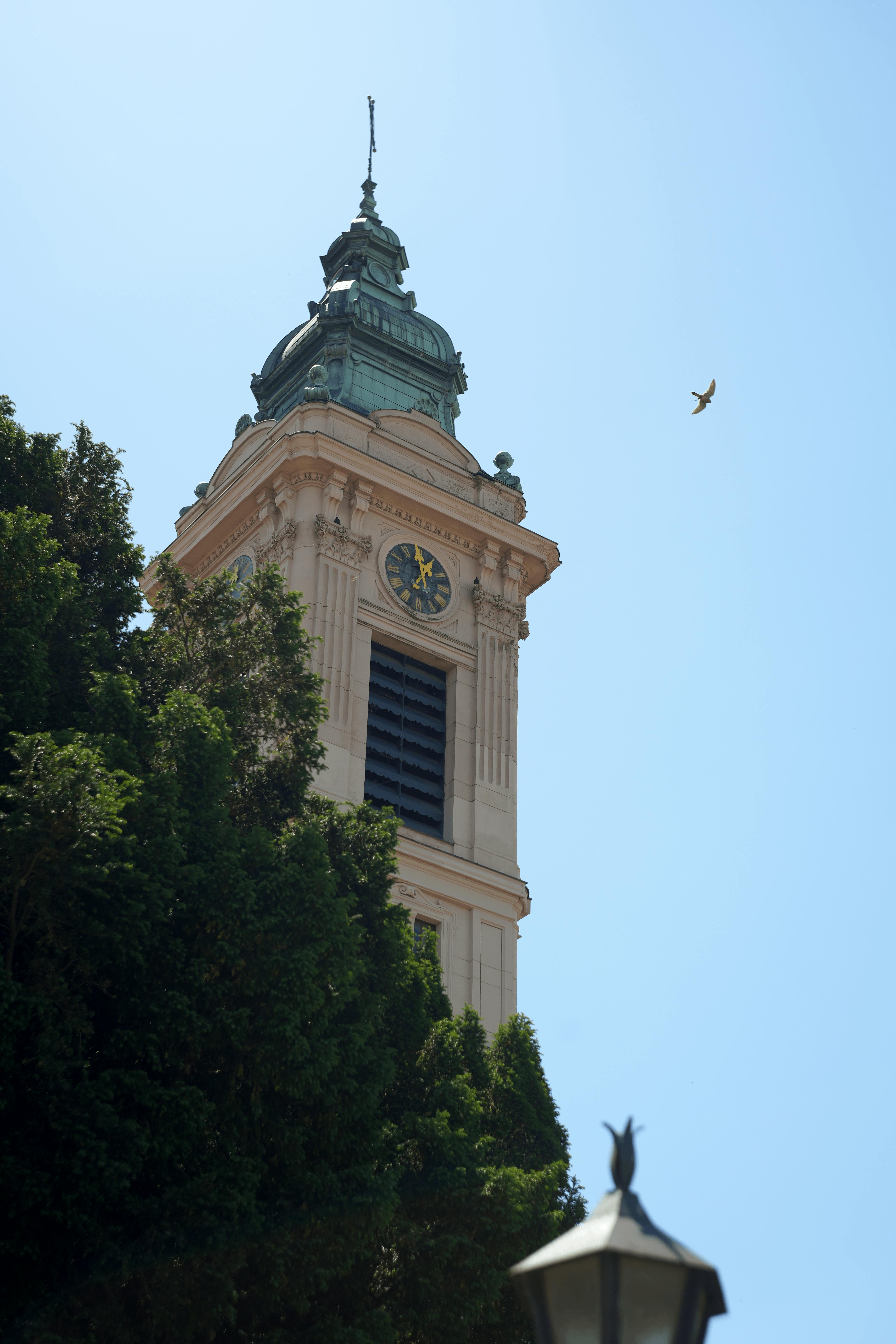 Newstar+Sunshine+Iii+Imagebam Photos, Download The BEST Free Newstar ...