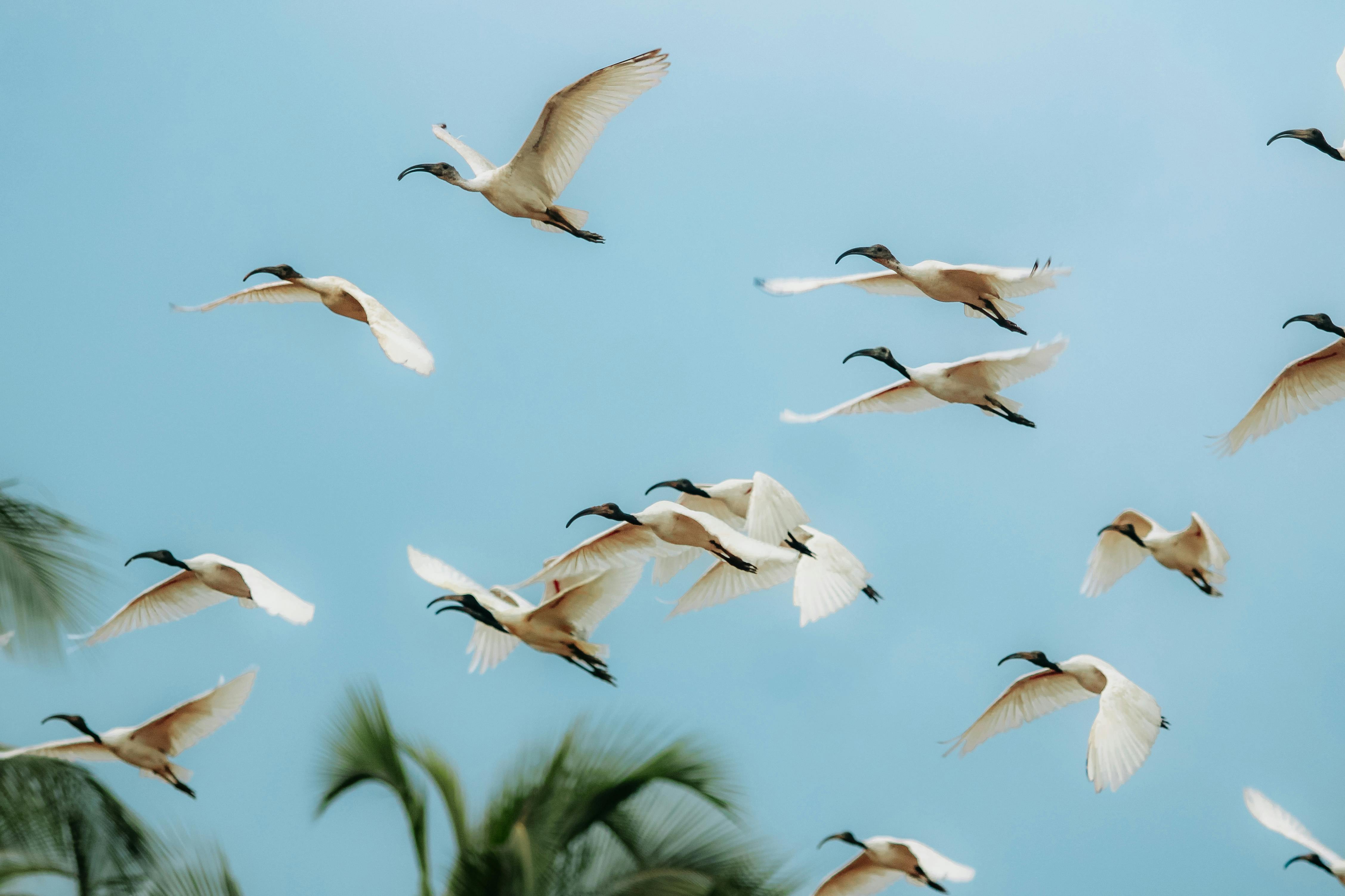 Bing+Homepage+Quiz+Jigsaw+Puzzles+2015images+Free+Download Photos ...