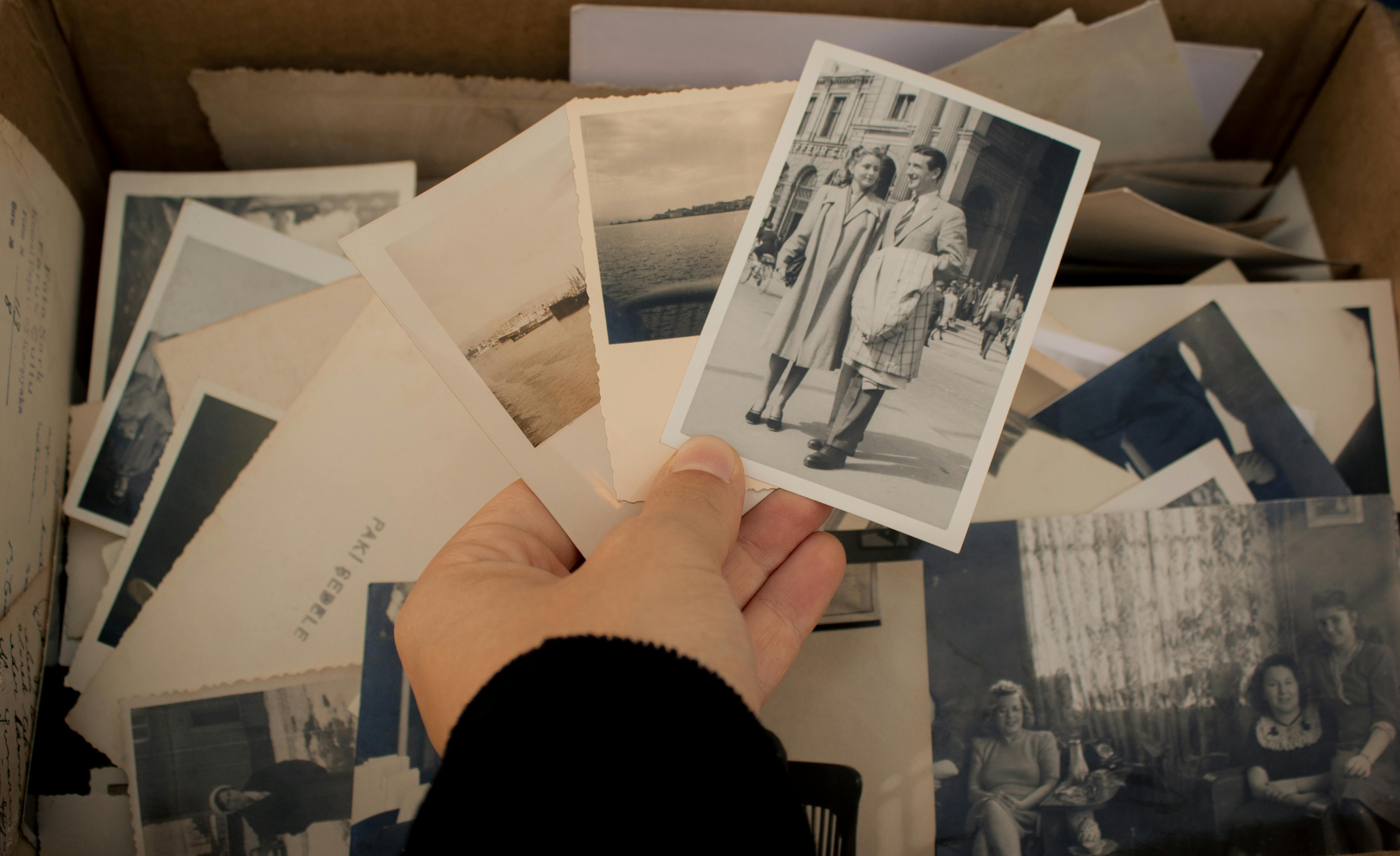 Photo gratuite de album photo, archive, collection