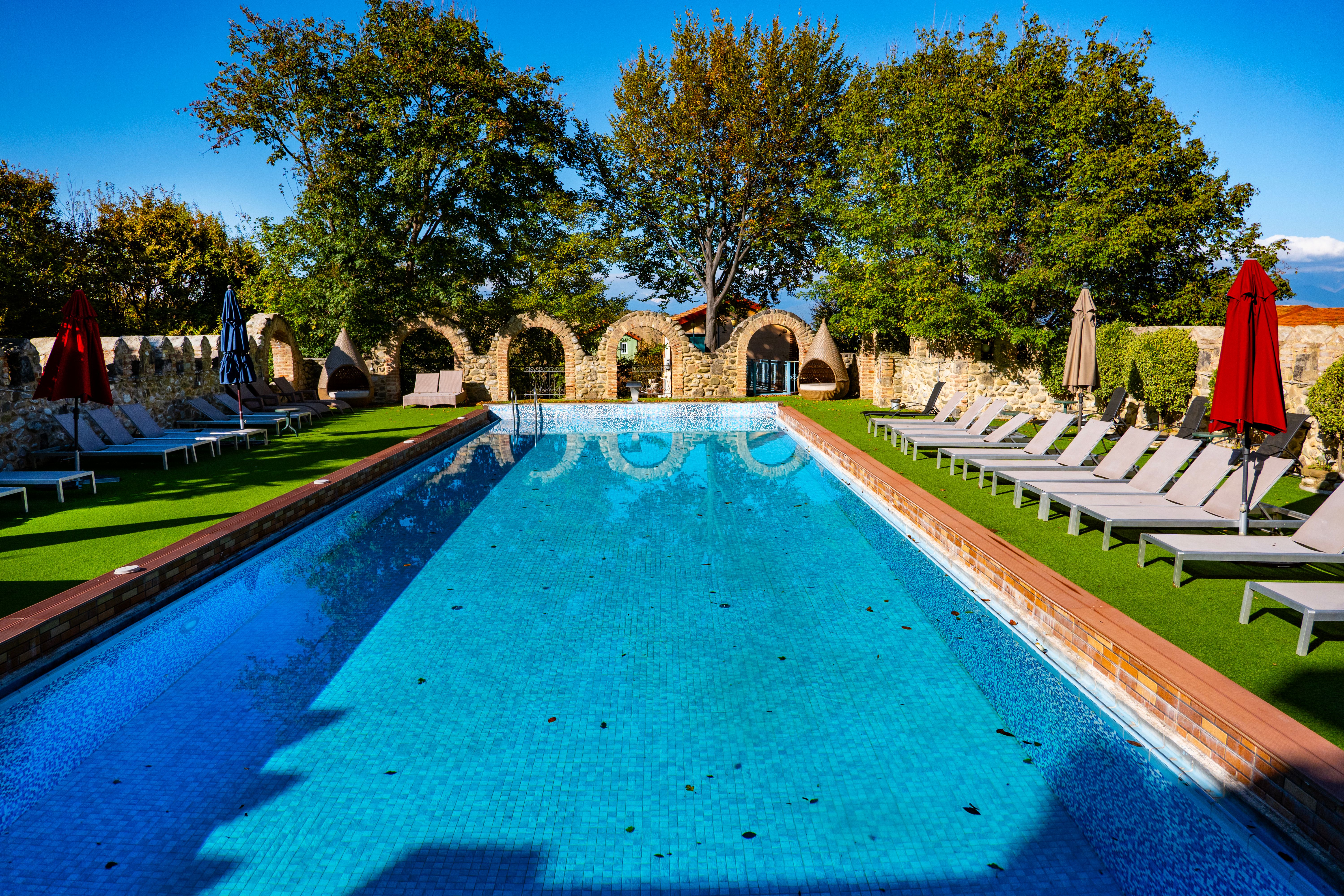 Pool In Backyard Photos, Download The BEST Free Pool In Backyard Stock ...