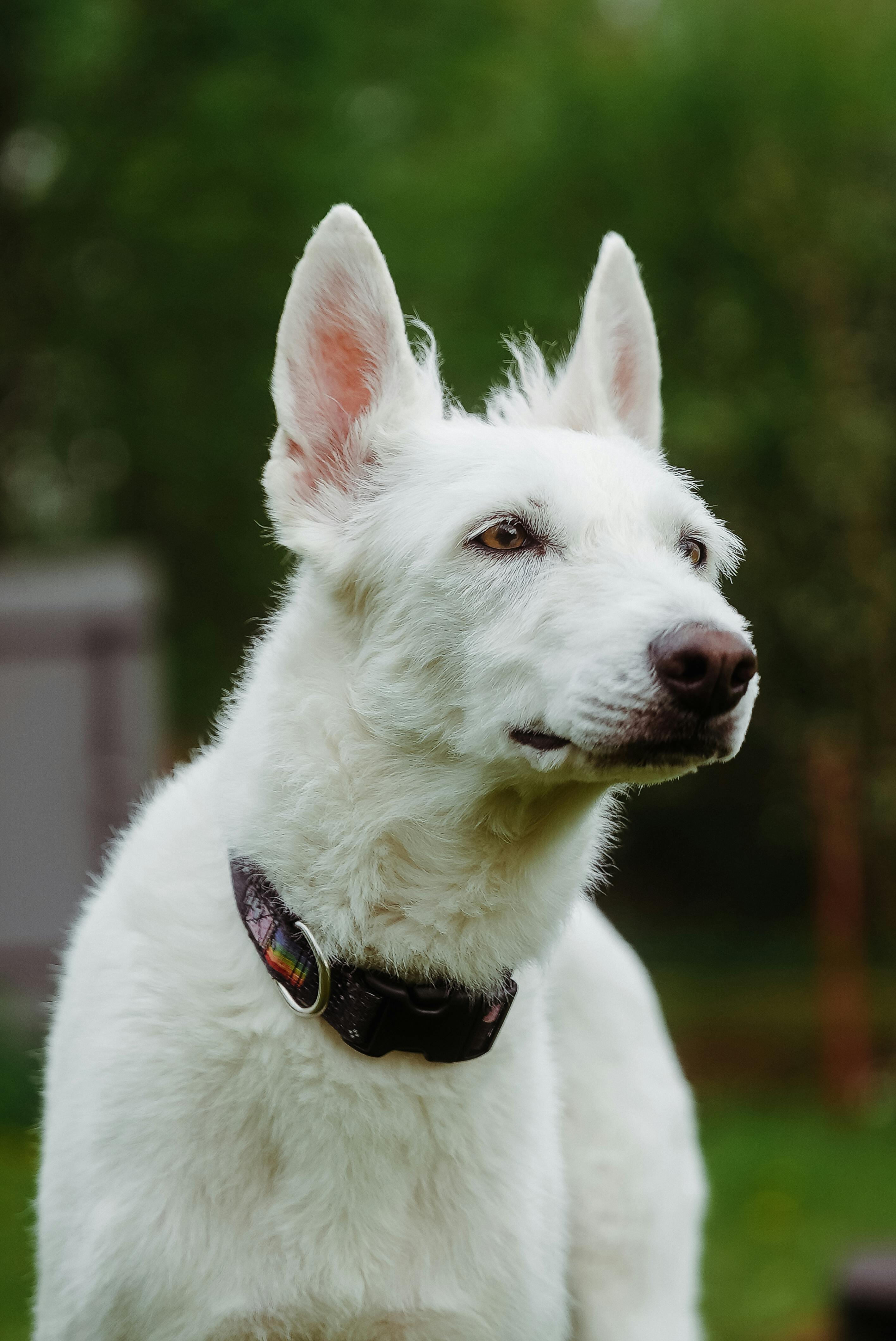 200.000+ melhores imagens de Monte+artificial+em+espiral+no+parque ...