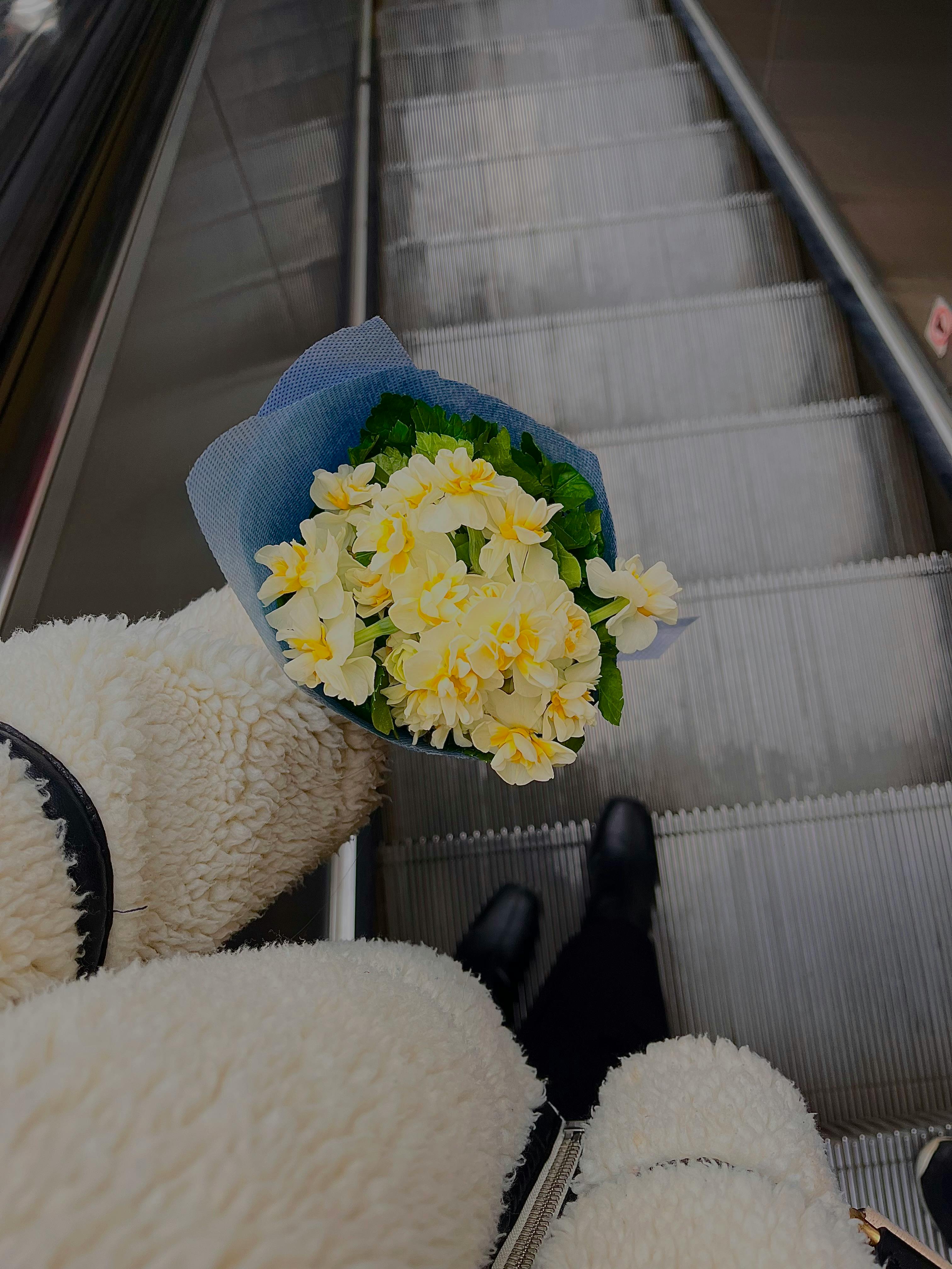 Golap Flowers Photos, Download The BEST Free Golap Flowers Stock Photos ...