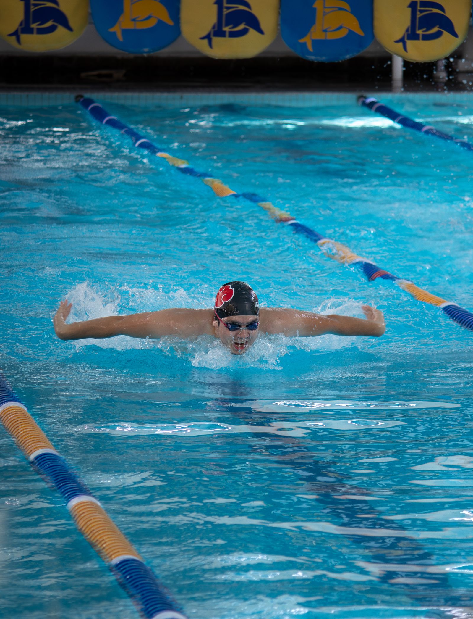 Pool Water Photos, Download The BEST Free Pool Water Stock Photos & HD ...