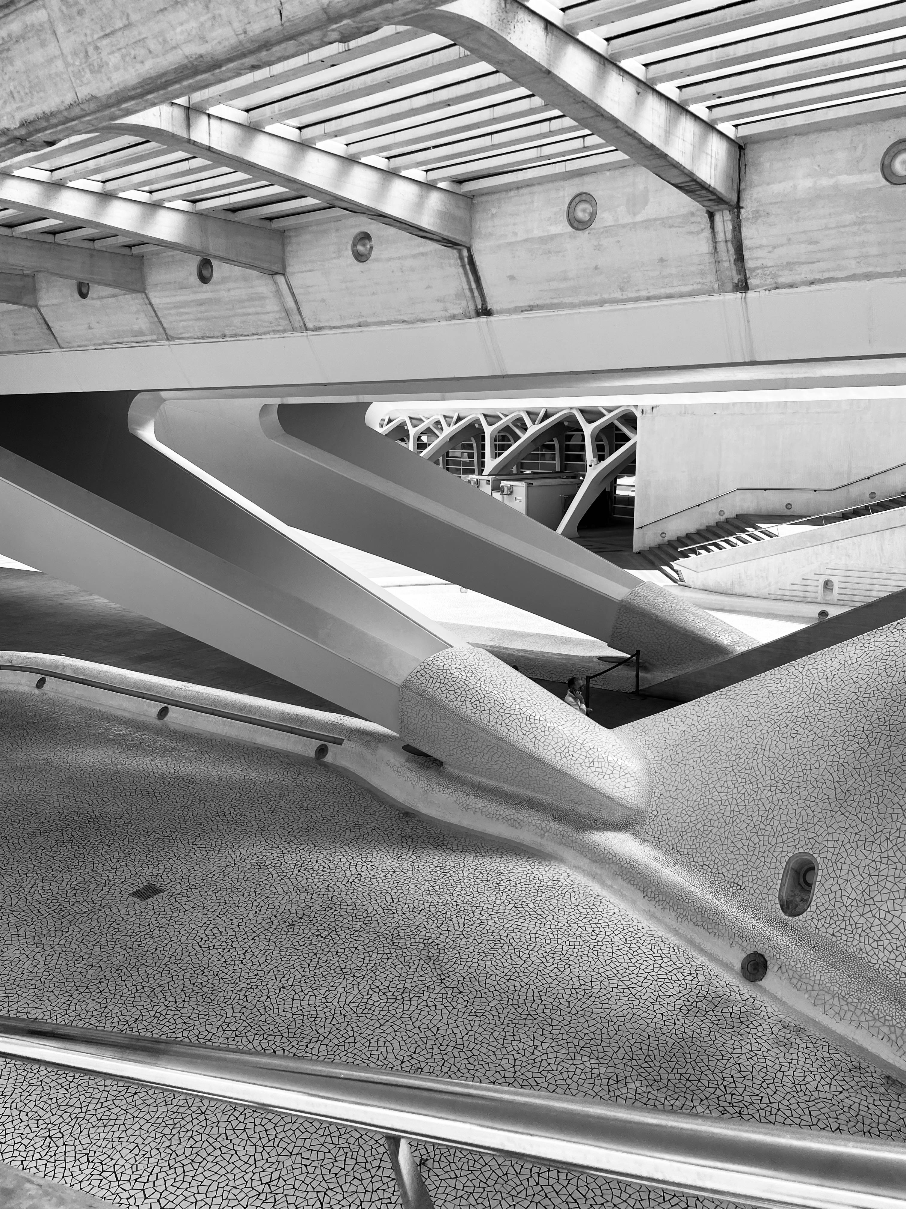 Angles Photos, Download The BEST Free Angles Stock Photos & HD Images