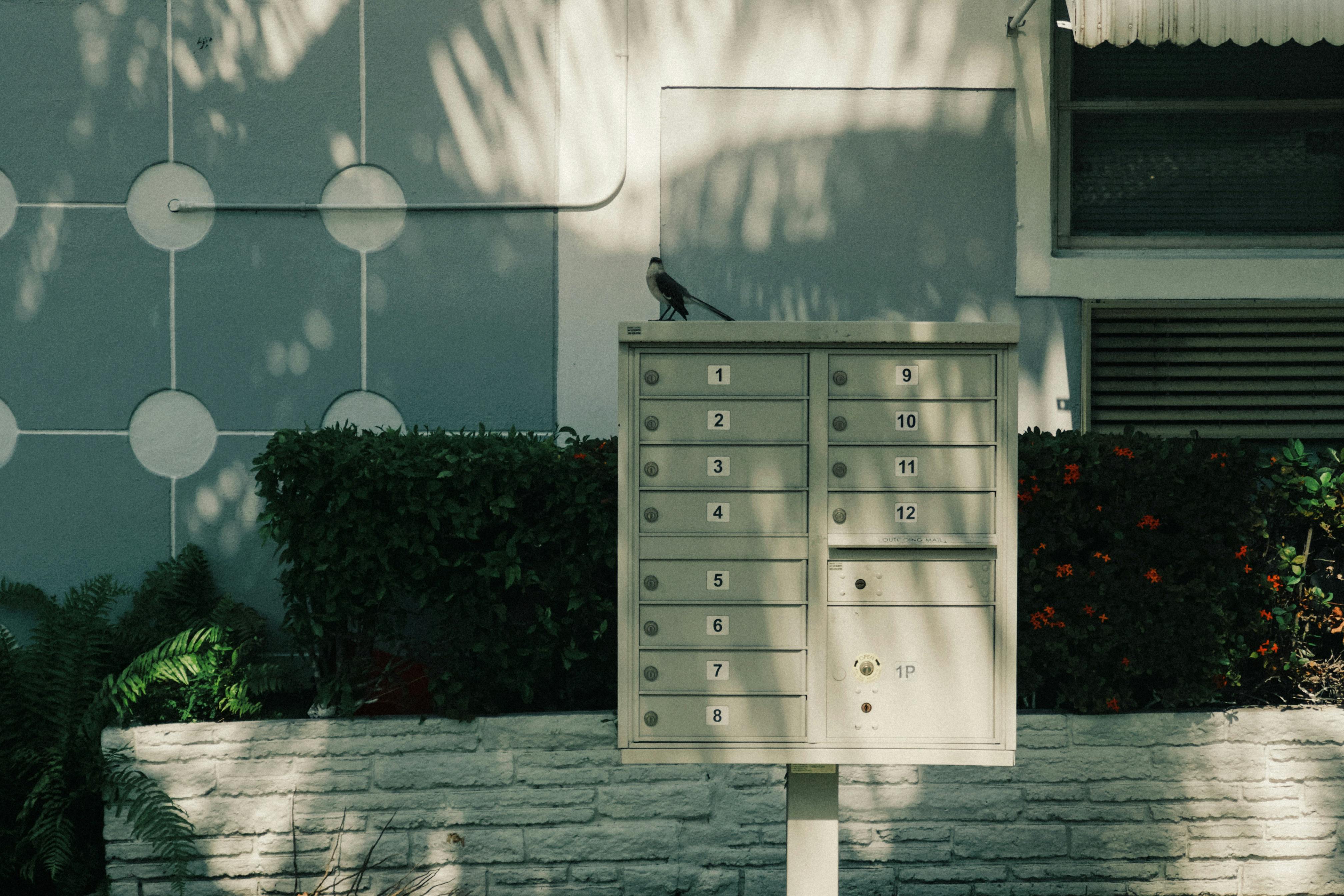 Flyer Design Photos, Download The BEST Free Flyer Design Stock Photos ...