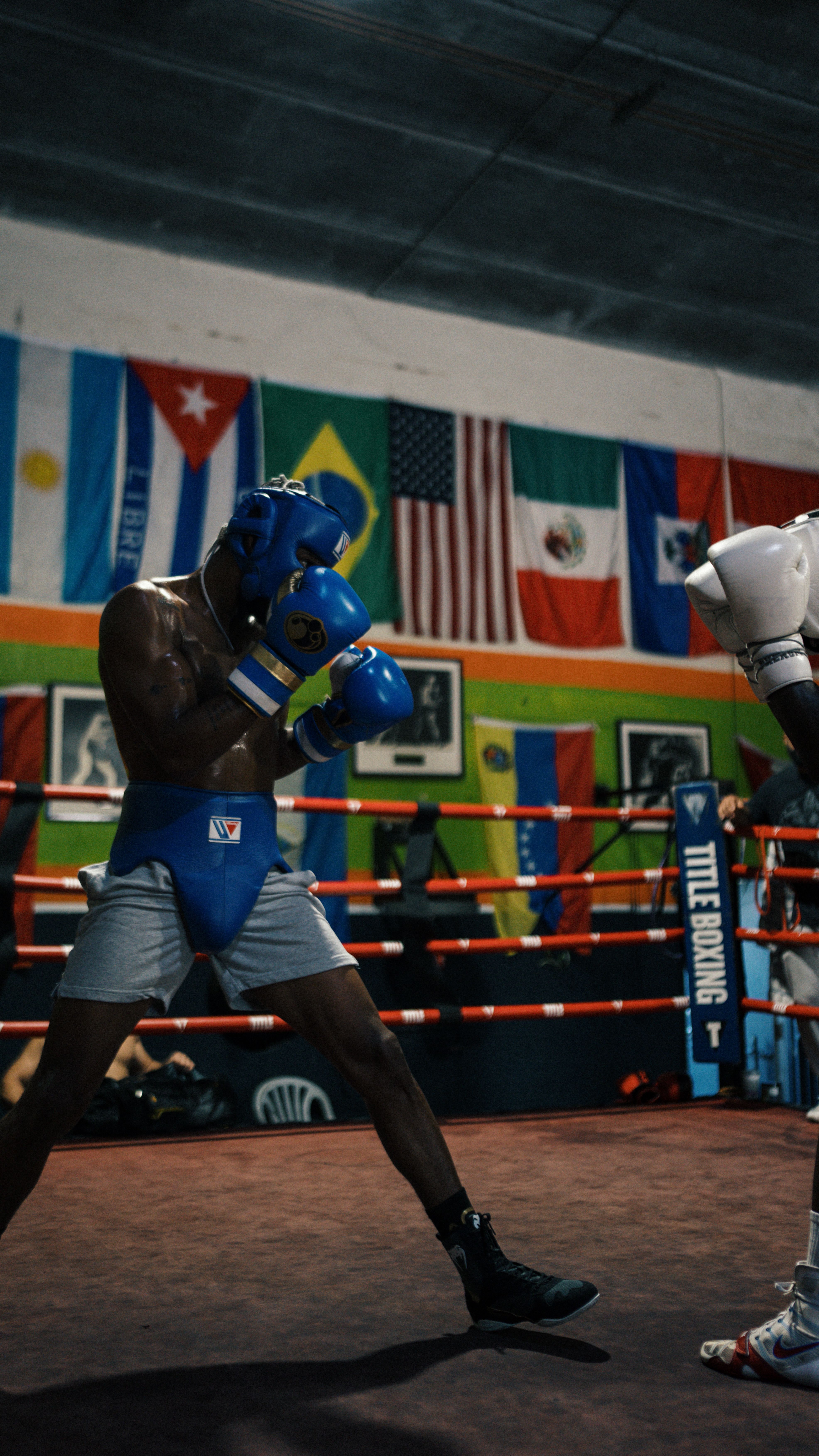 Boxers Training in Gym with National Flags Background · Free Stock Photo