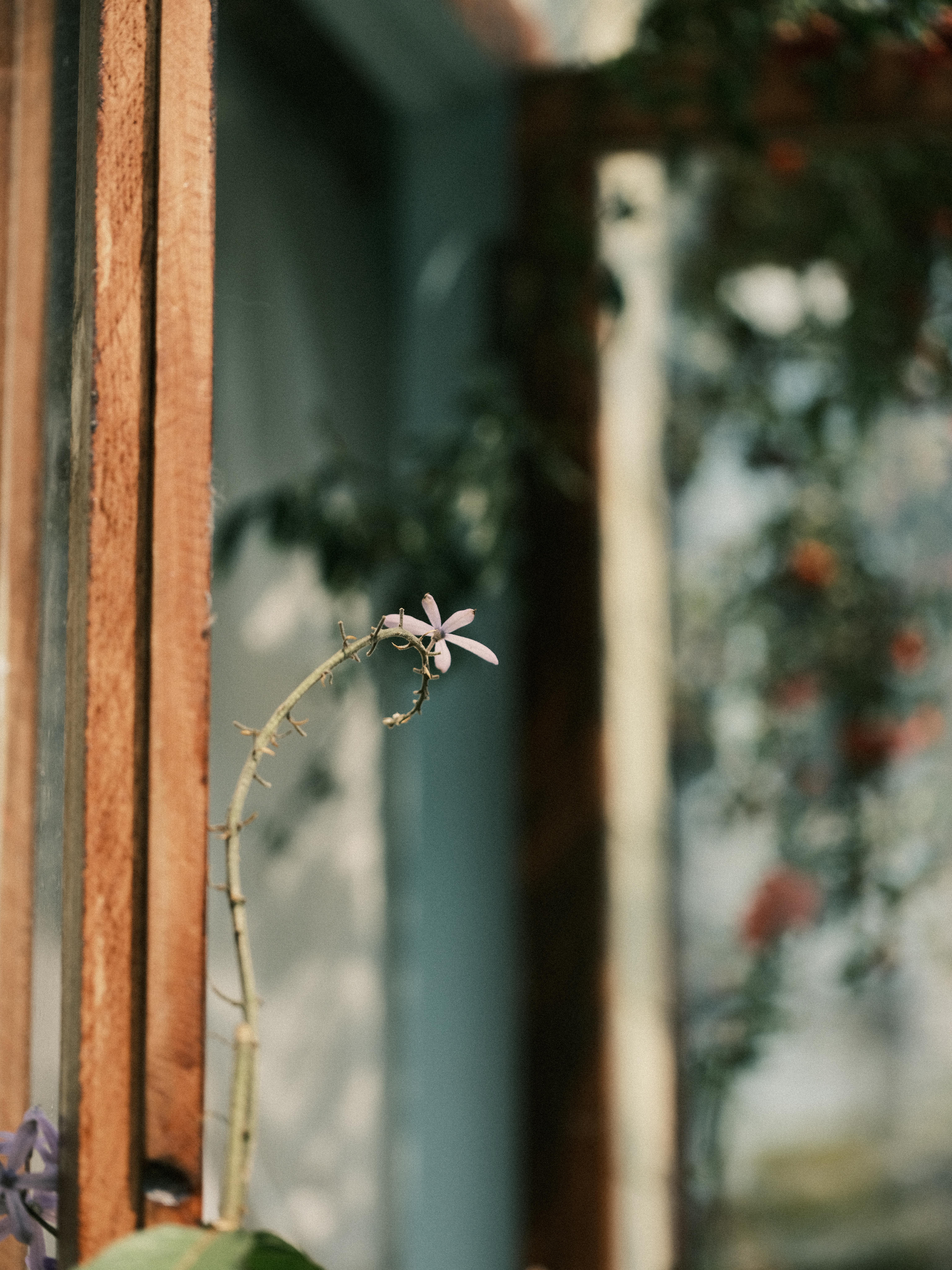 33+ Fotos y Imágenes de Nichkhun推特 Gratis · Banco de Fotos Gratis