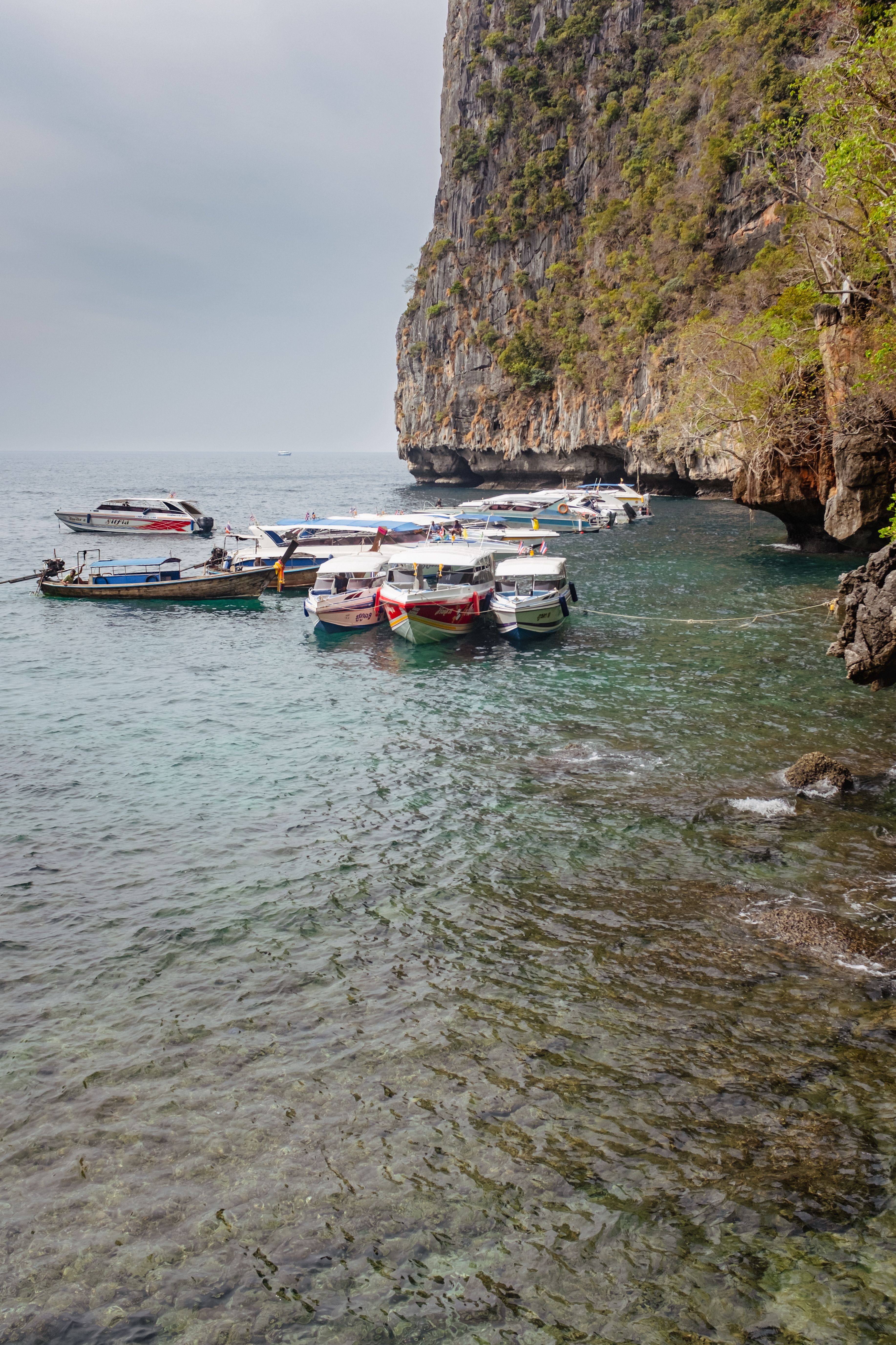 Bua Bay Photos, Download The BEST Free Bua Bay Stock Photos & HD Images