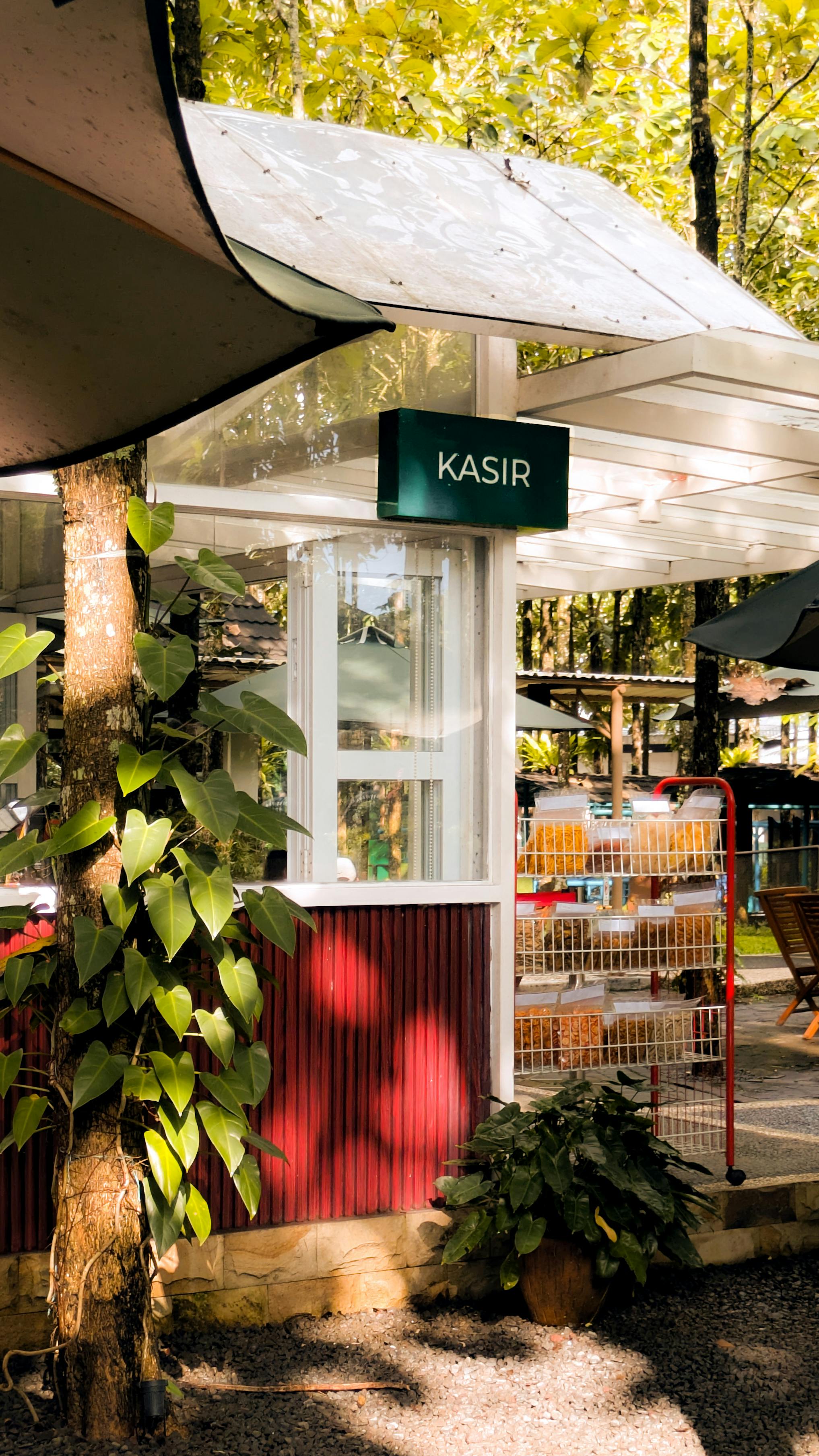 Outdoor Café Cashier Station in Tropical Setting · Free Stock Photo