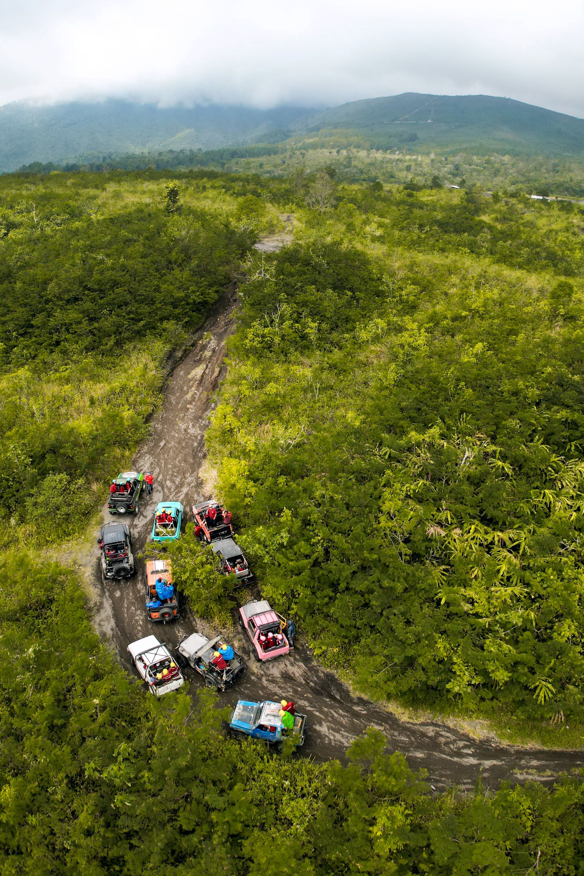 Aerial View of Off-Road Adventure in Lush Forest · Free Stock Photo