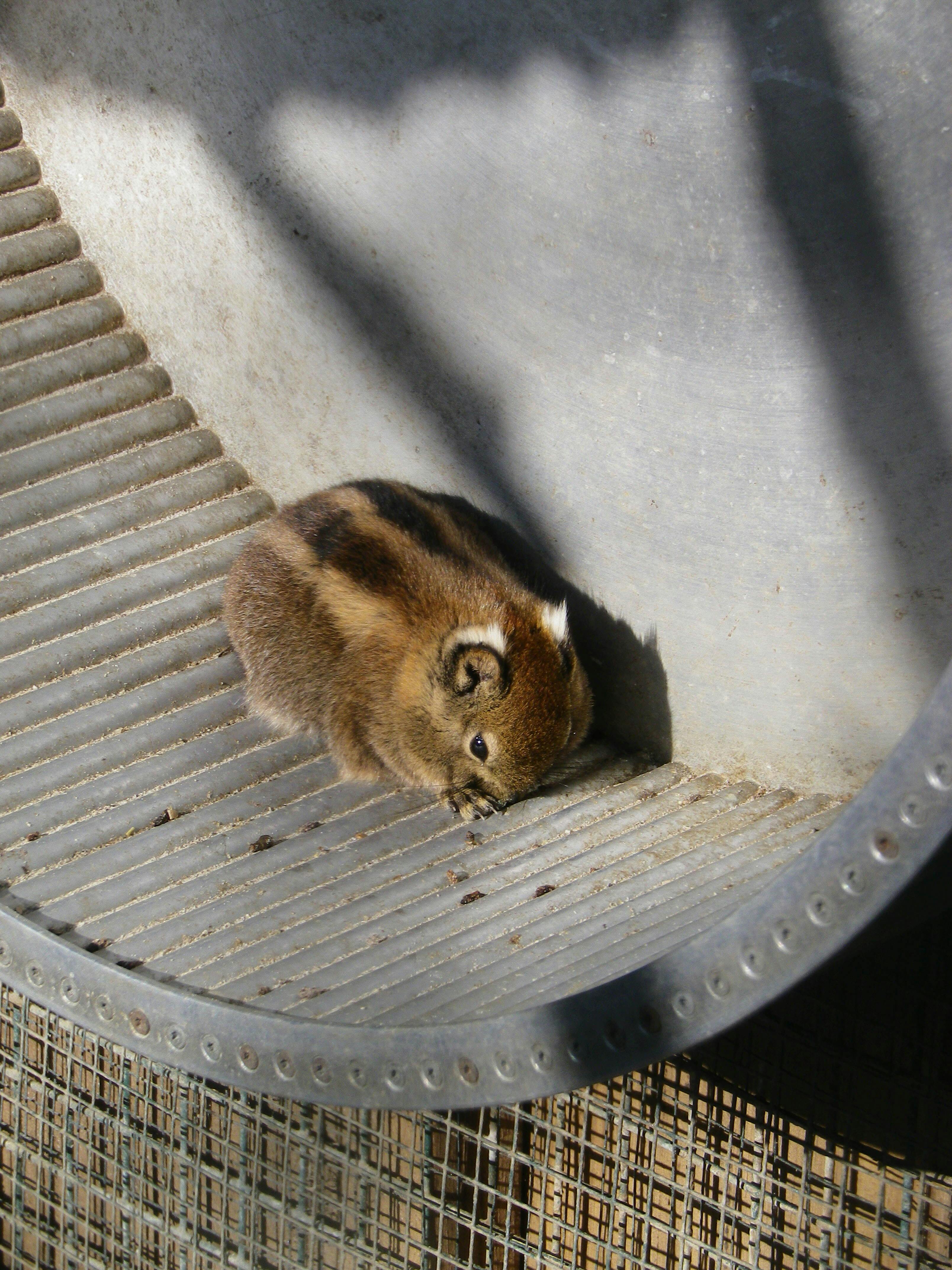 Shadow Energy Photos, Download The BEST Free Shadow Energy Stock Photos ...