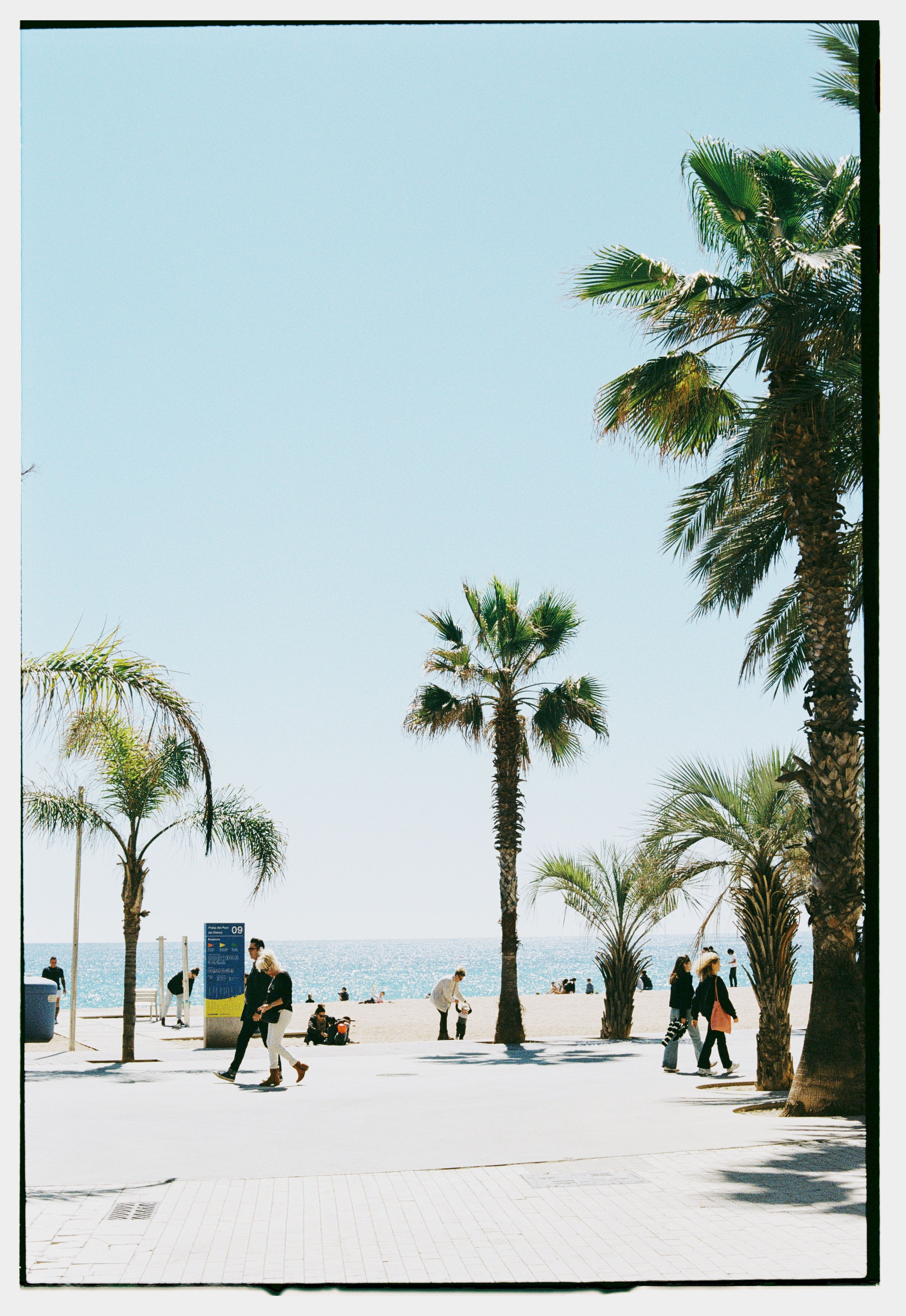 Sunny Beach Promenade with Palm Trees and Visitors · Free Stock Photo