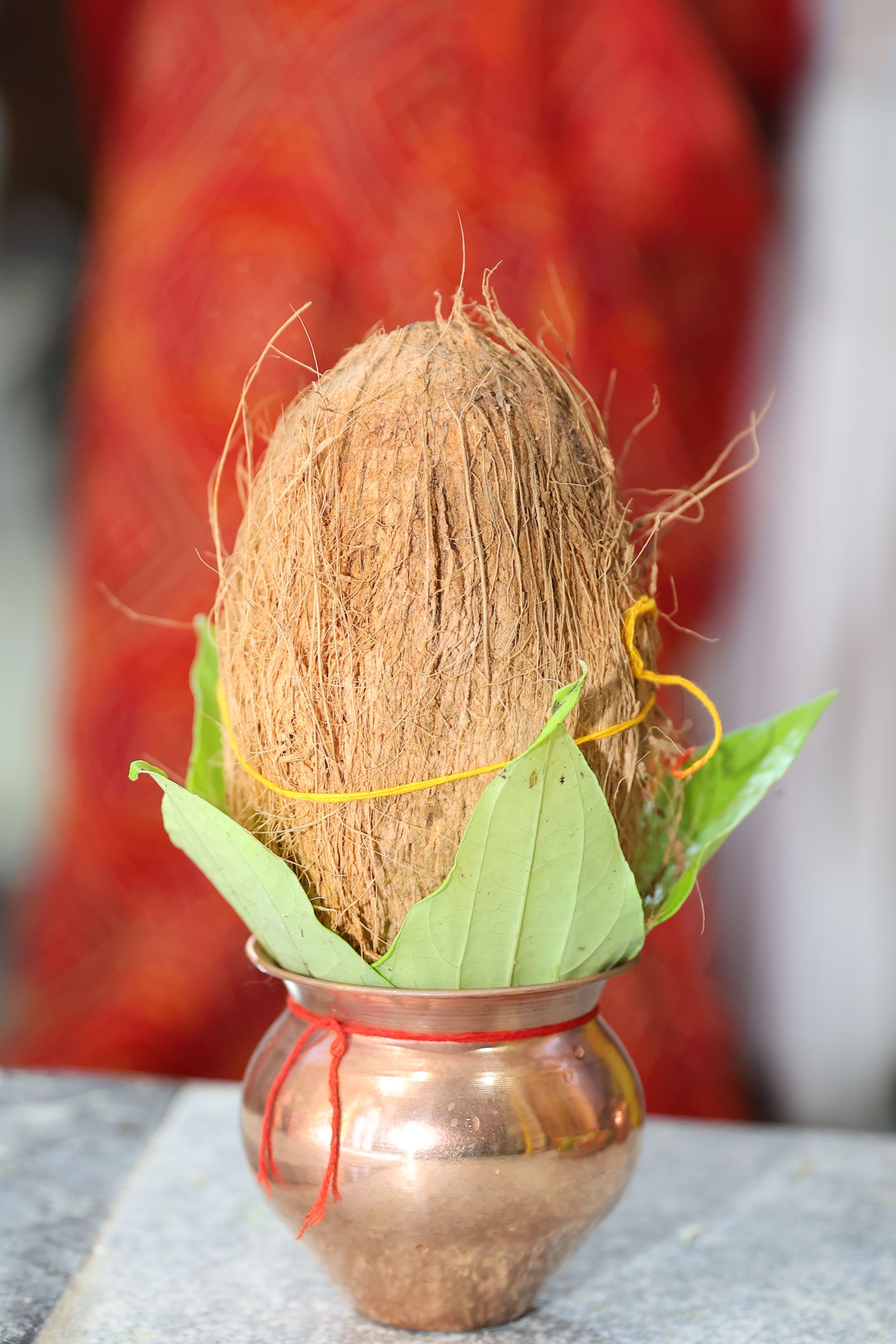 A Bride and Groom Doing the Talambralu Ritual · Free Stock Photo