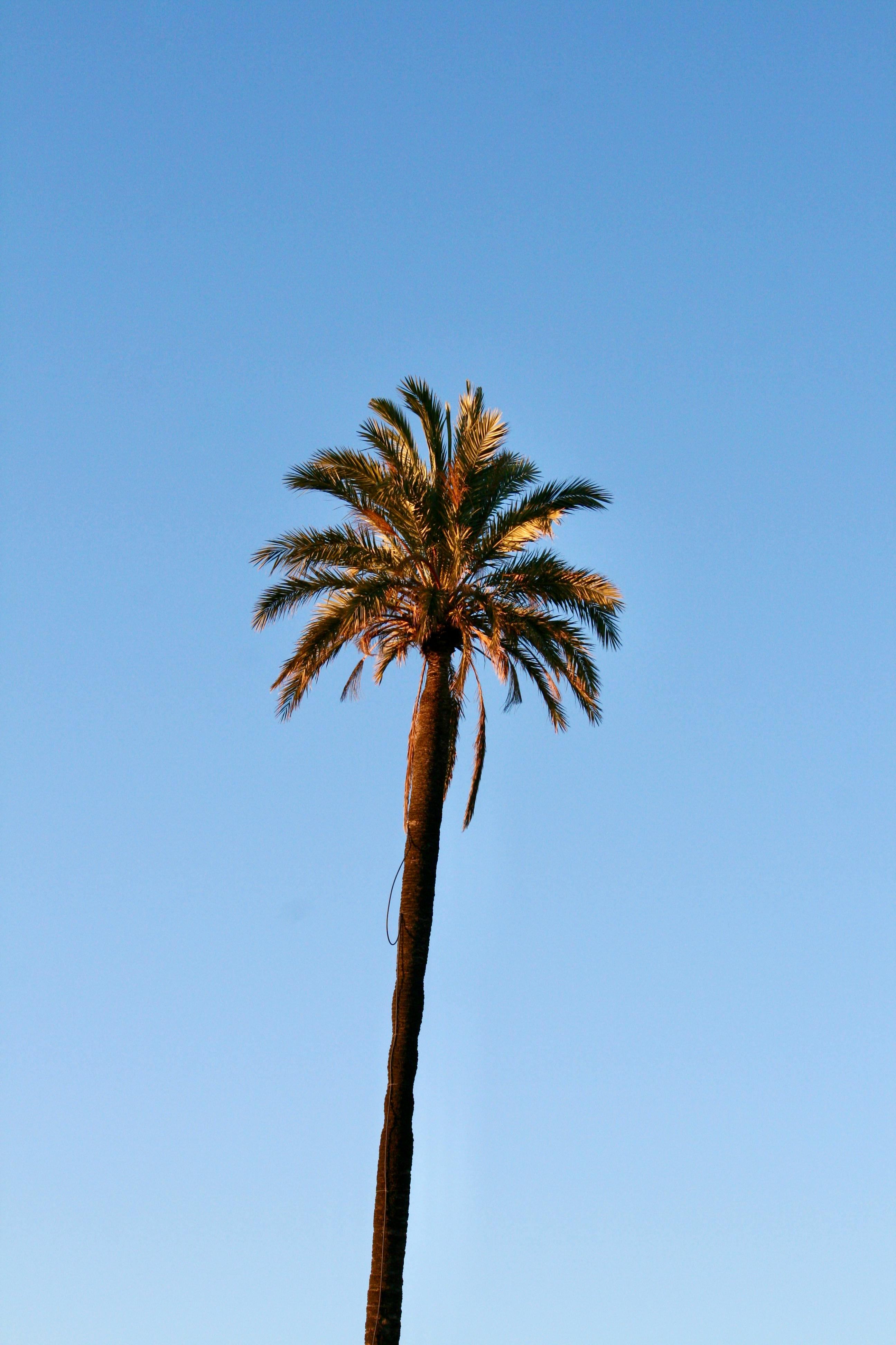 Tujuan Kelas Denia Photos, Download The BEST Free Tujuan Kelas Denia ...