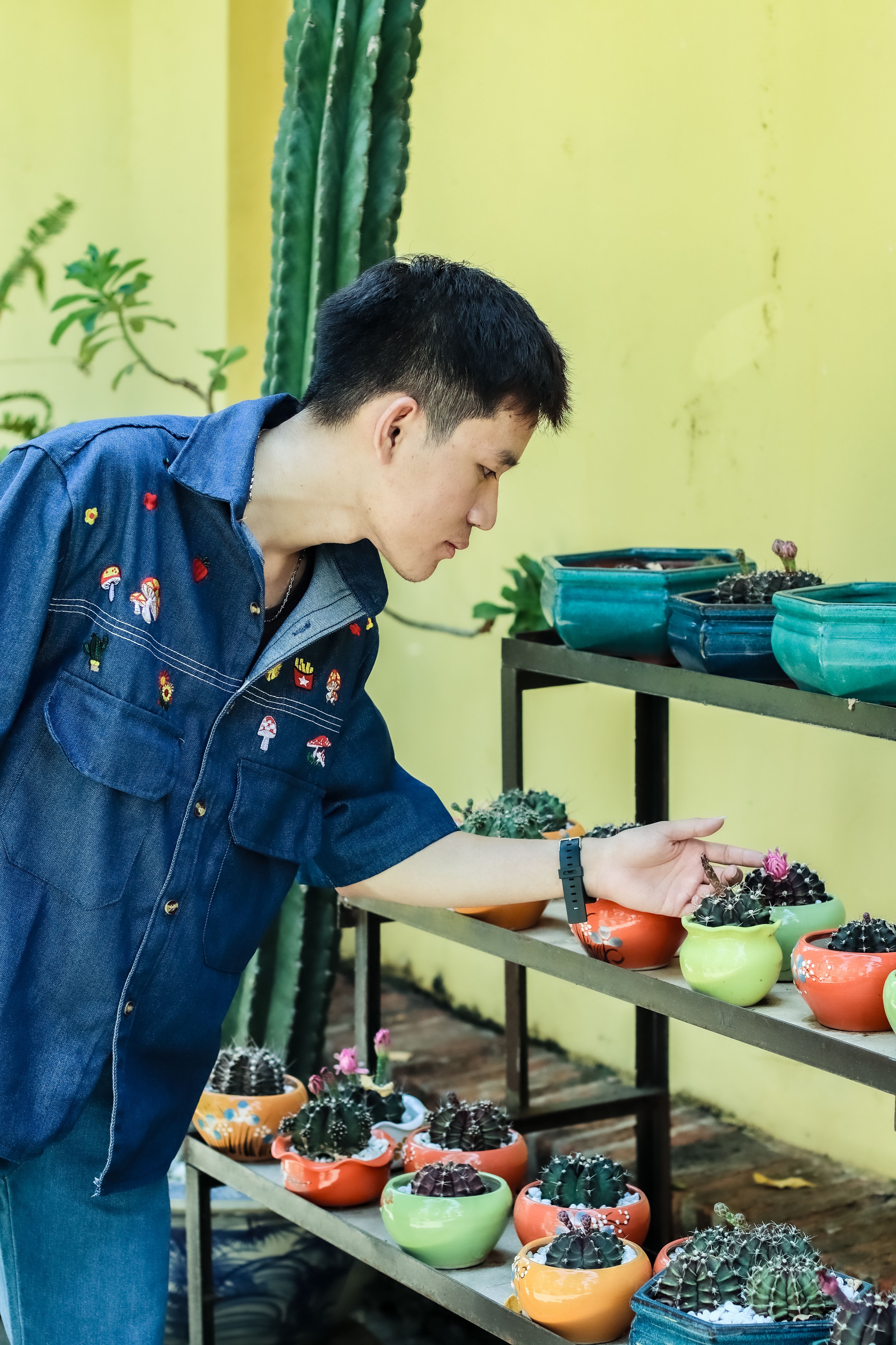 Young Man Tending Decorative Cacti Outdoors · Free Stock Photo
