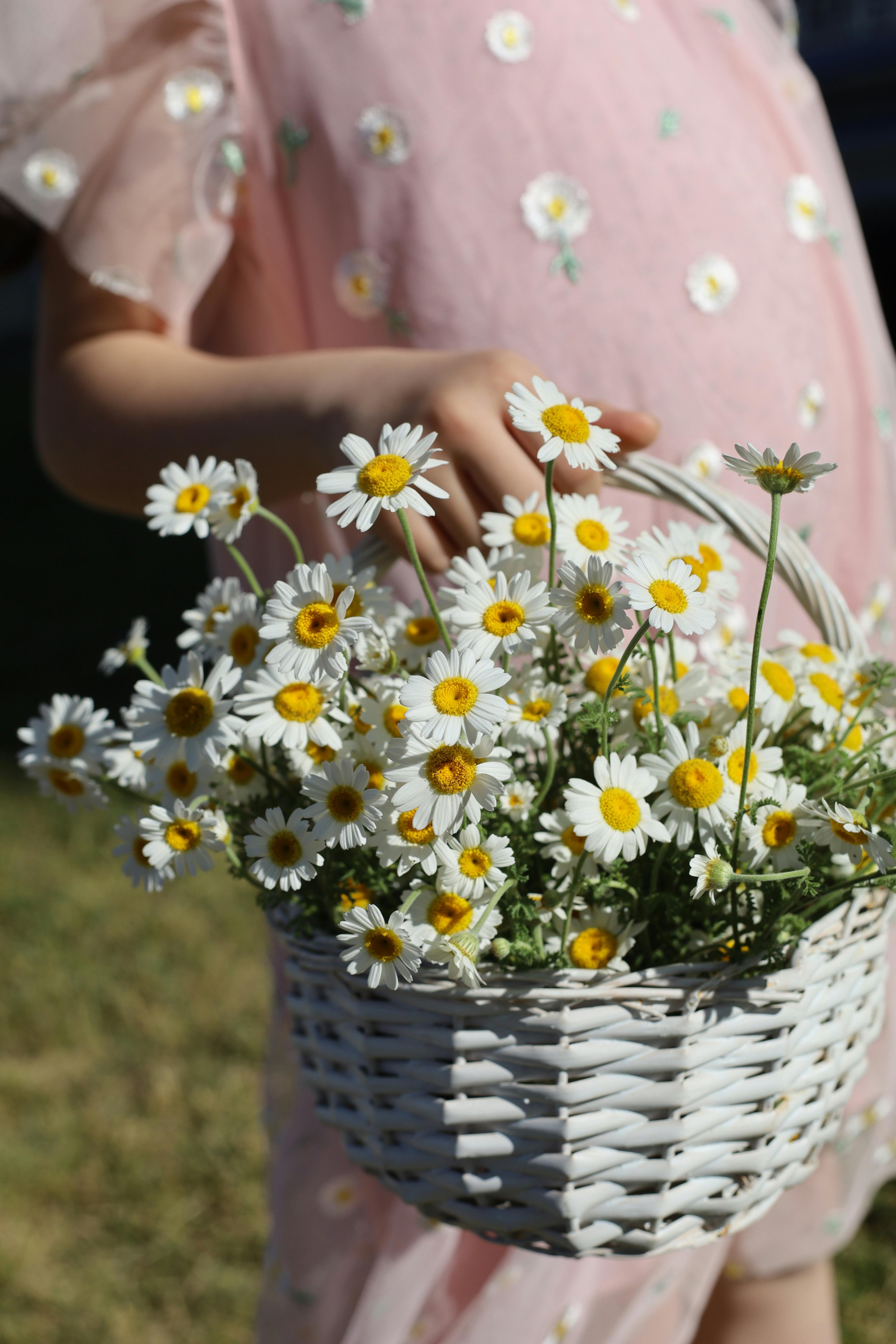 Imx+Girl+Gallery Photos, Download The BEST Free Imx+Girl+Gallery Stock ...