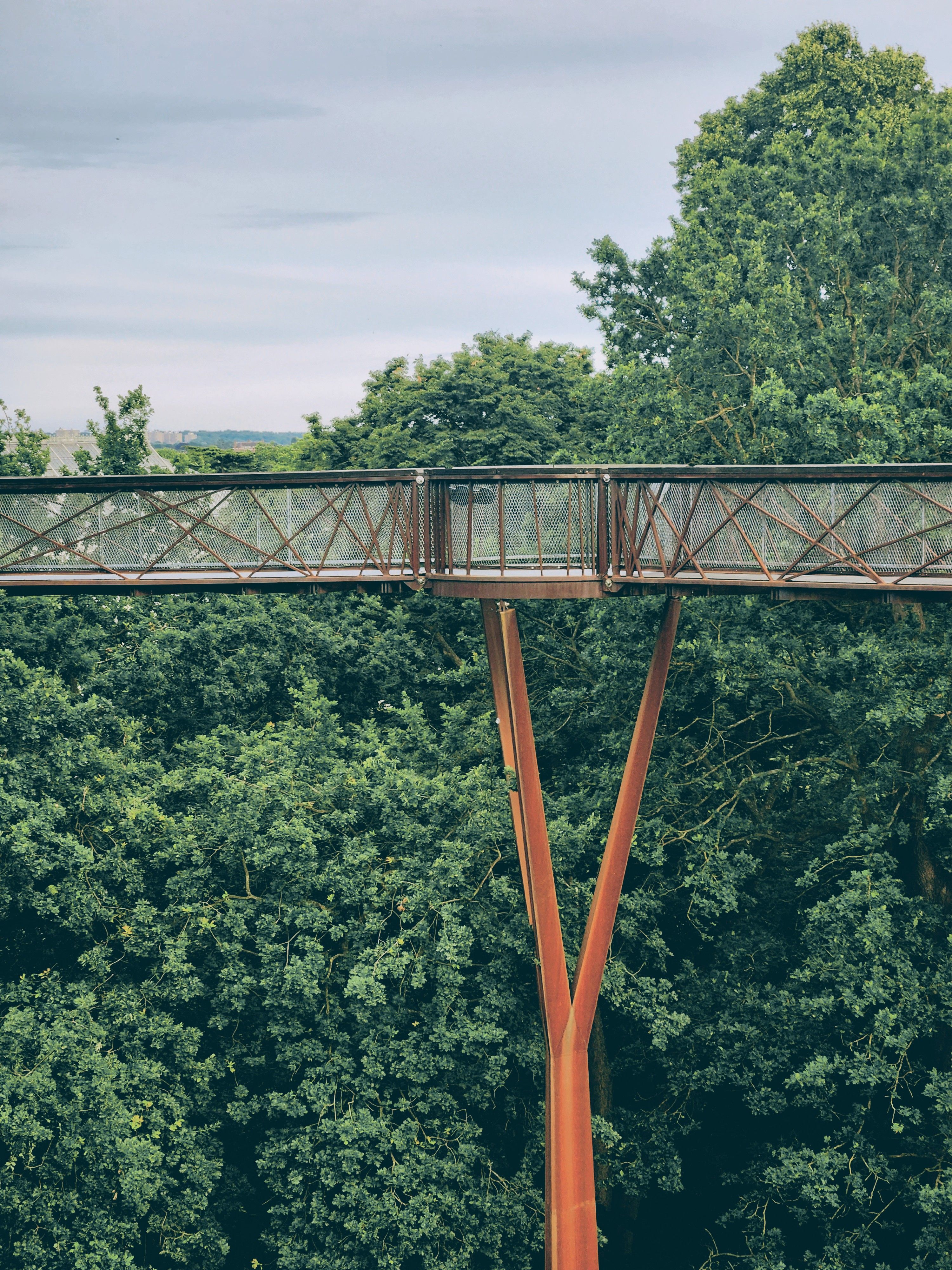 Kew Gardens Treetop Walkway in Summer · Free Stock Photo
