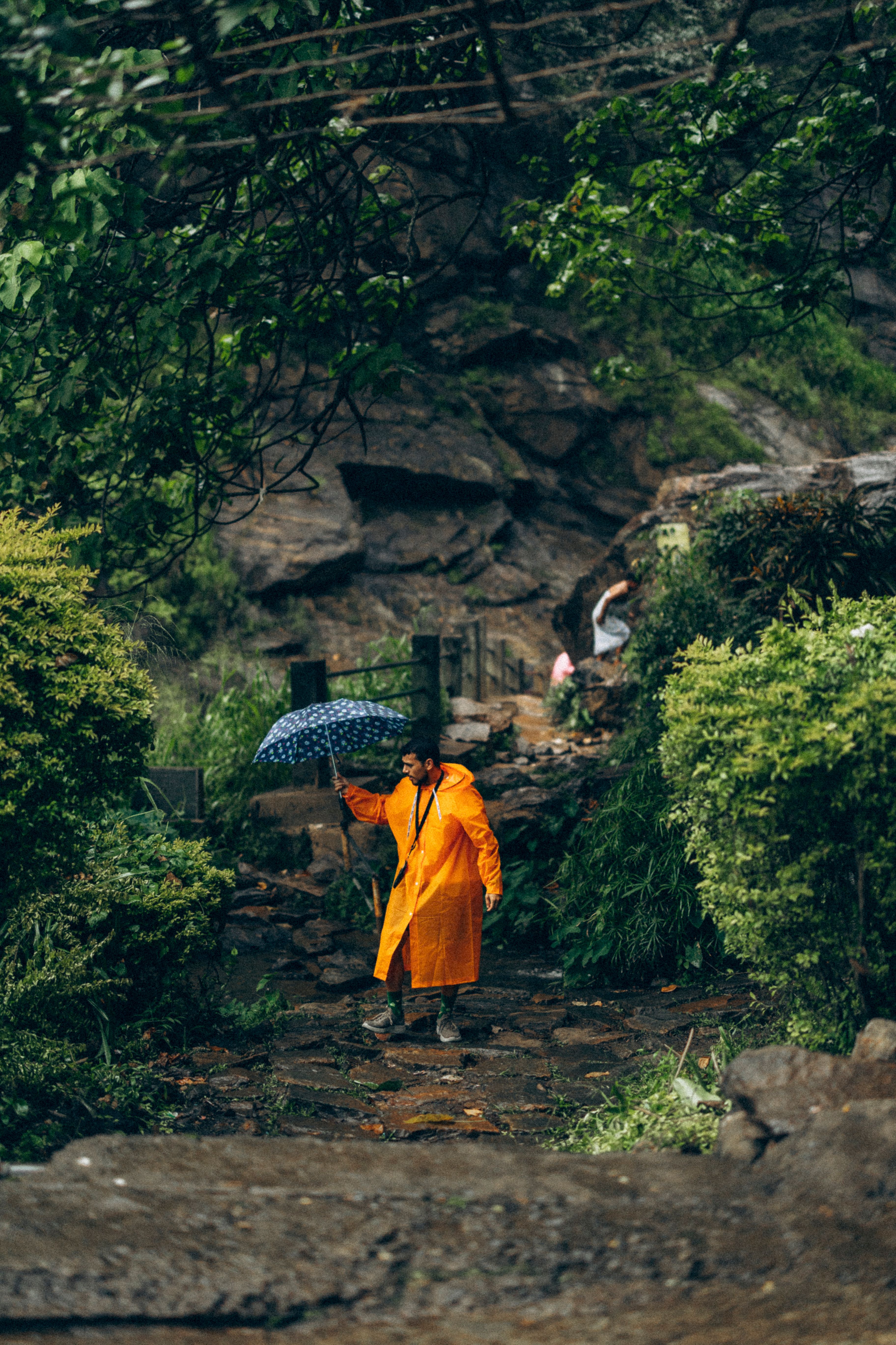 Wander Photos, Download The BEST Free Wander Stock Photos & HD Images
