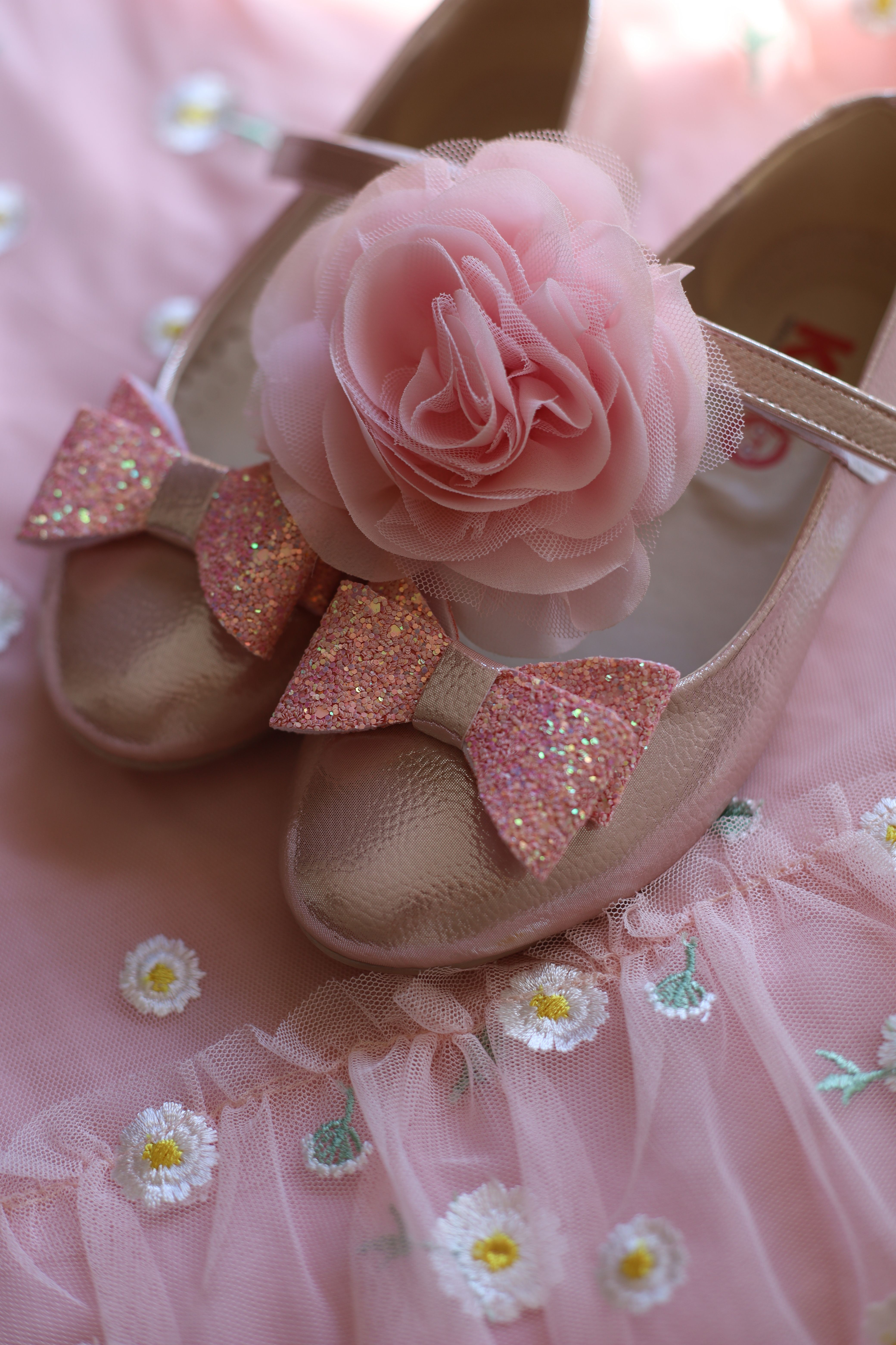 Delicate Pink Ballet Flats with Floral Decor · Free Stock Photo