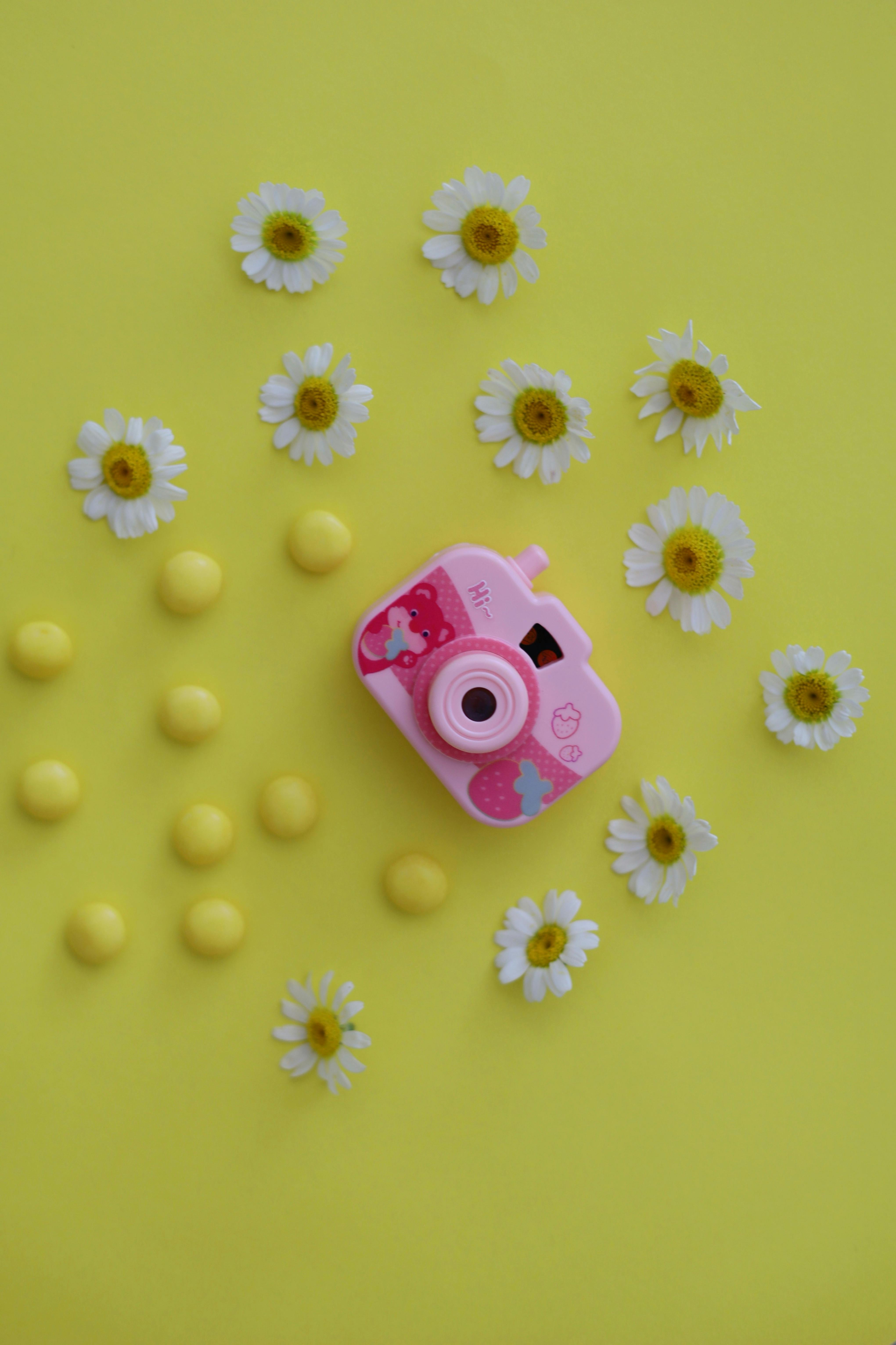 Cute Avatars Photos, Download The BEST Free Cute Avatars Stock Photos ...