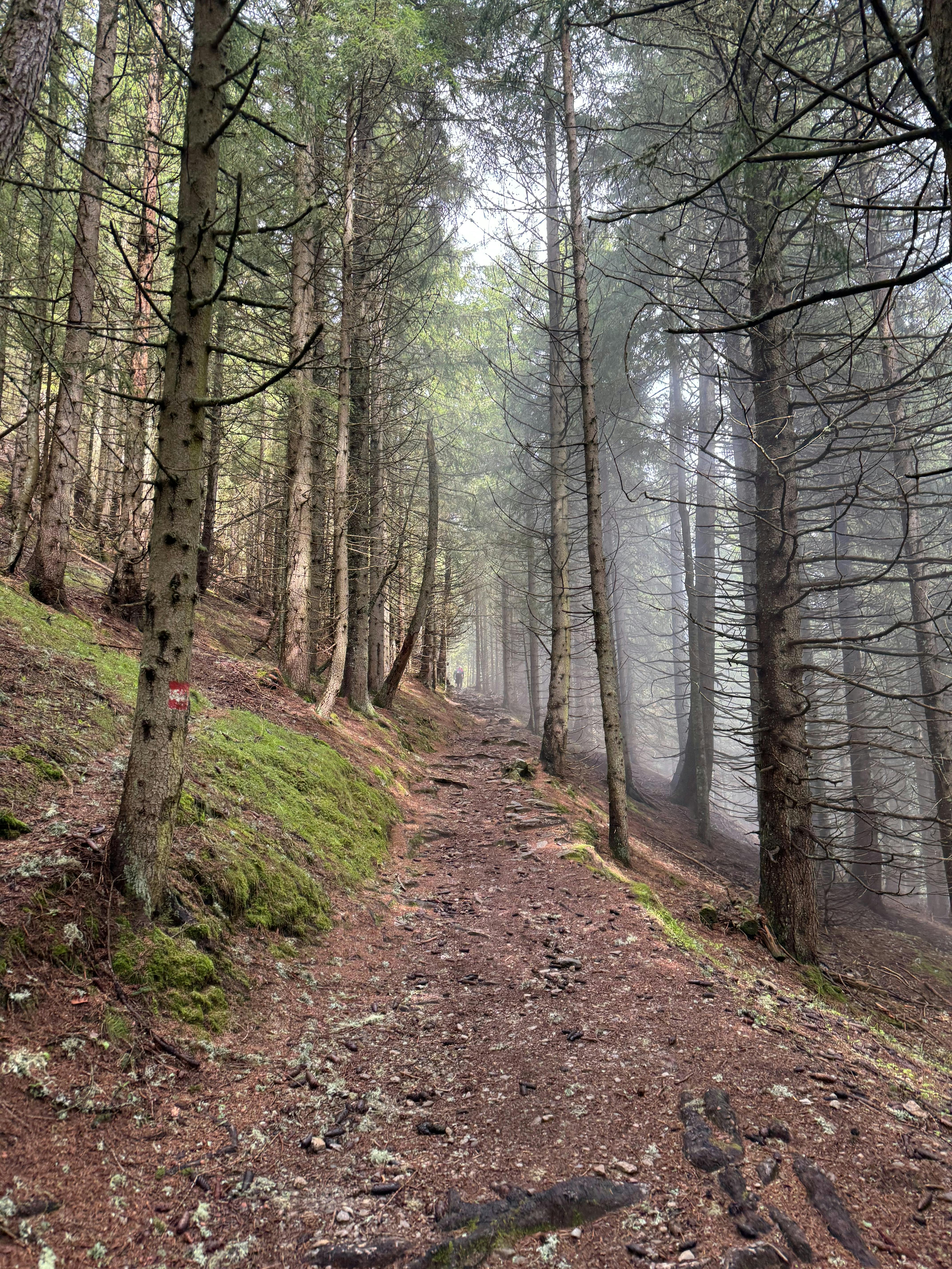 Lana+Rhoades+Gif Photos, Download The BEST Free Lana+Rhoades+Gif Stock ...