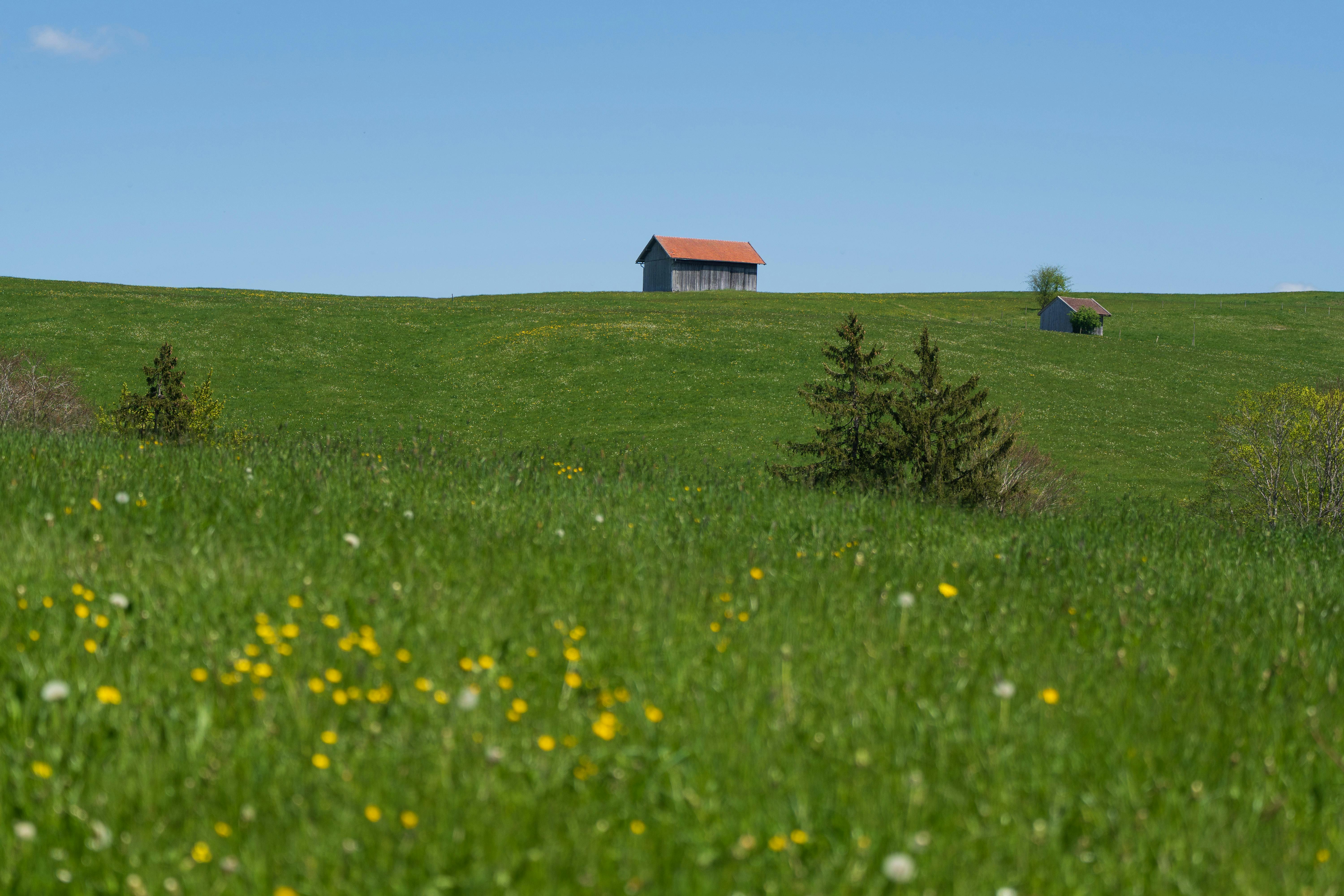 Grass Land Hills Photos, Download The BEST Free Grass Land Hills Stock ...