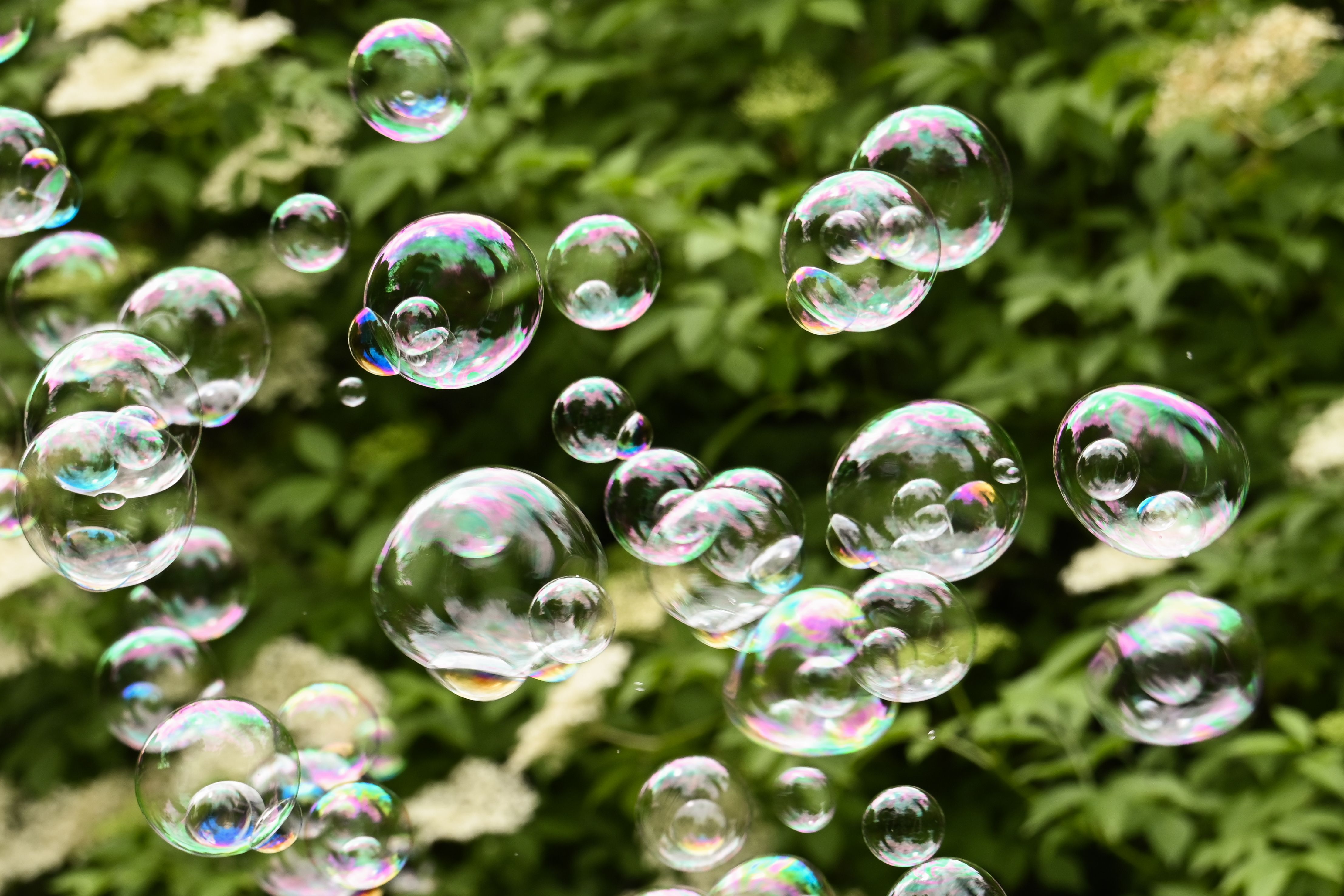 Colorful Soap Bubbles Floating Outdoors in Sunlight · Free Stock Photo
