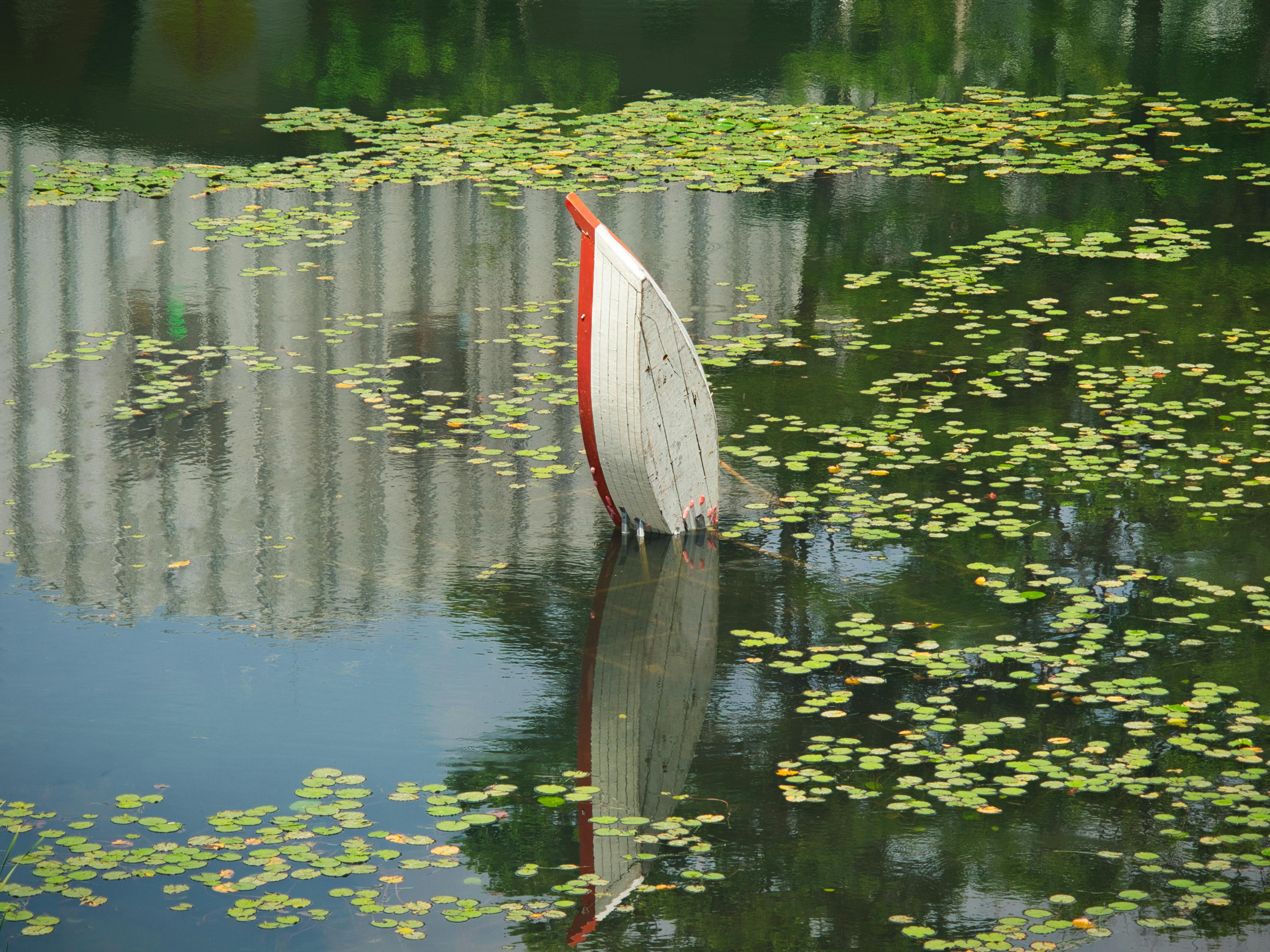 Partially Submerged Photos, Download The BEST Free Partially Submerged ...