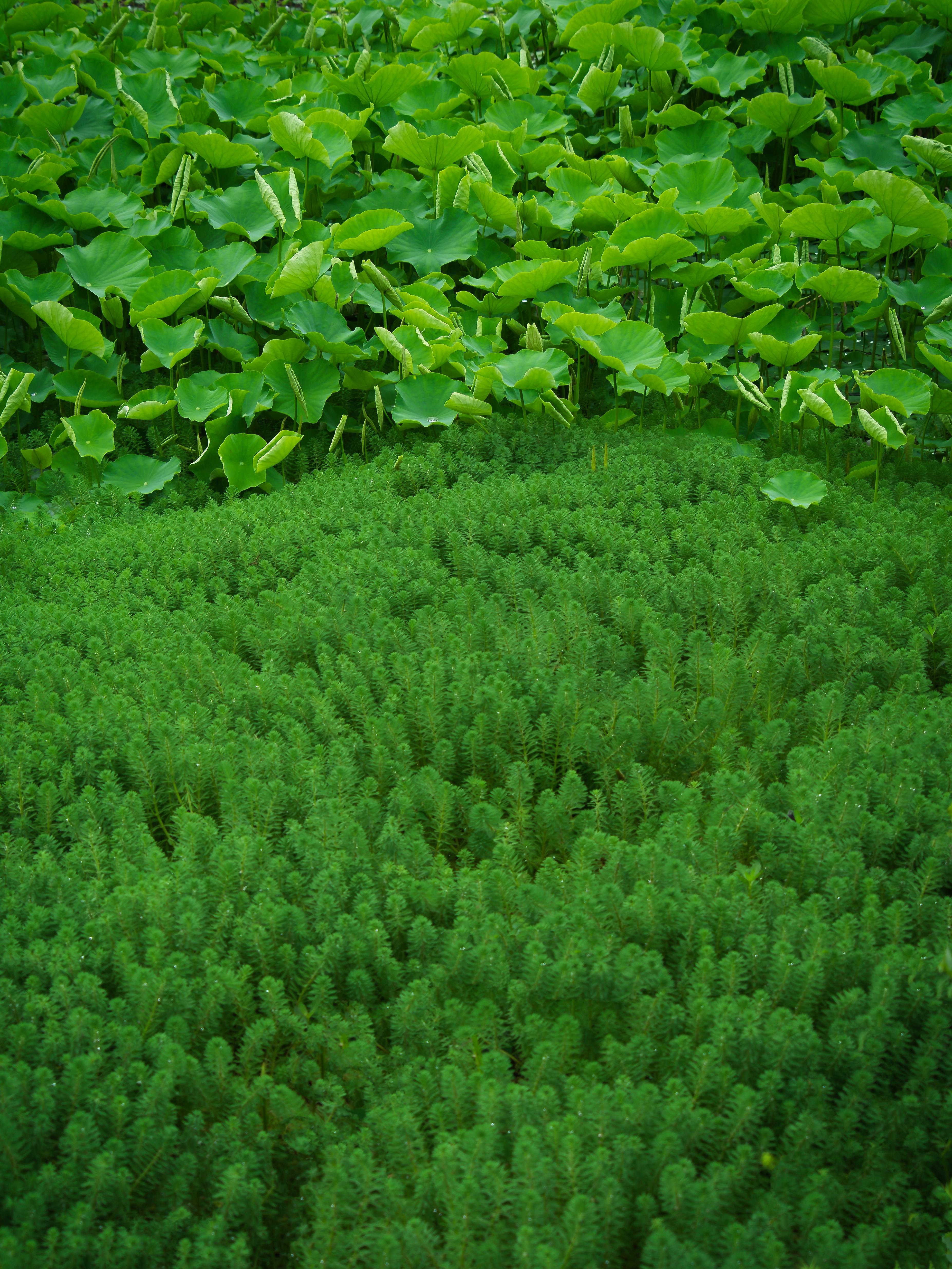 5mb Photo Photos, Download The BEST Free 5mb Photo Stock Photos & HD Images