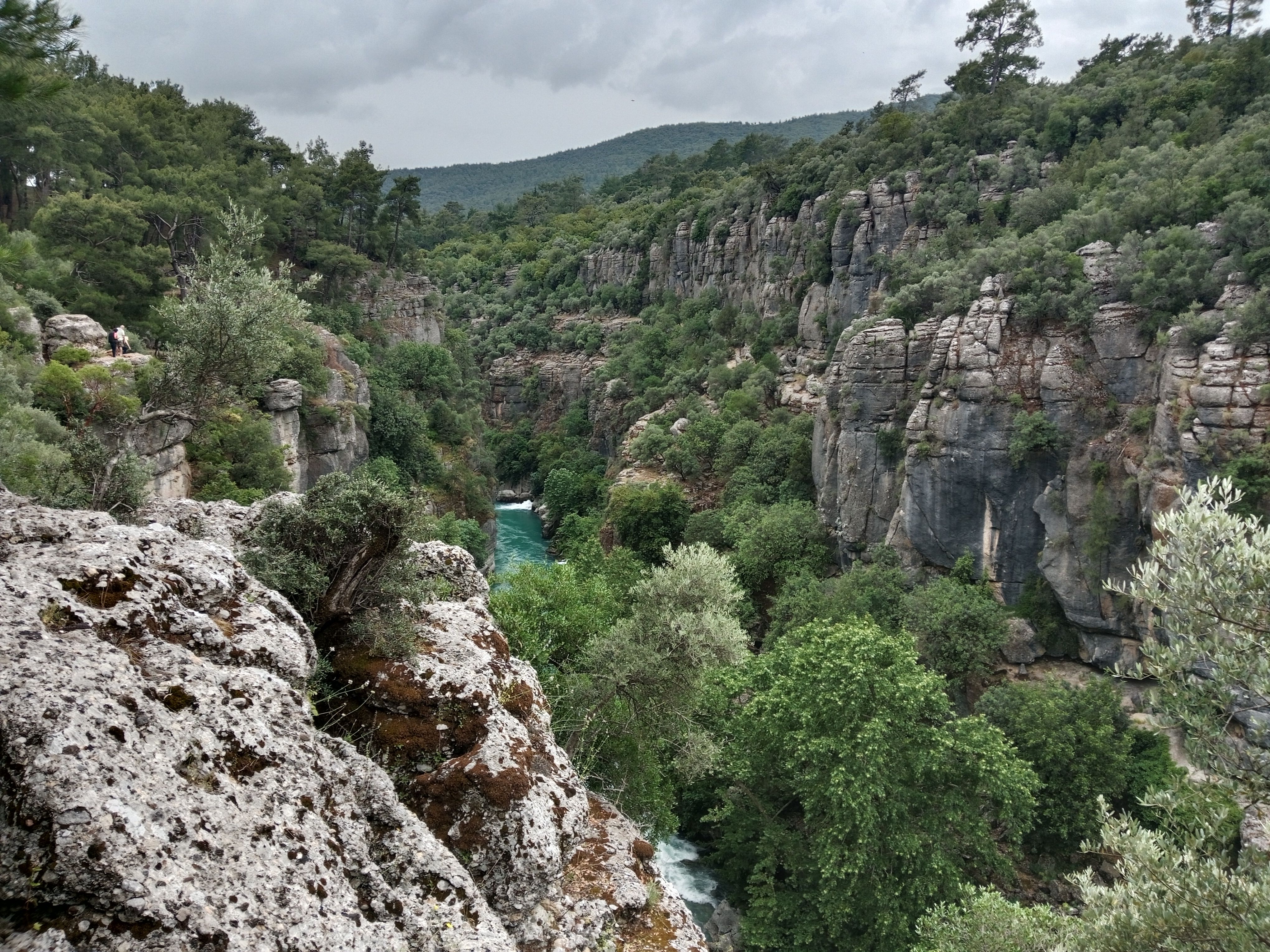 Scenic Canyon View with Lush Greenery and River · Free Stock Photo