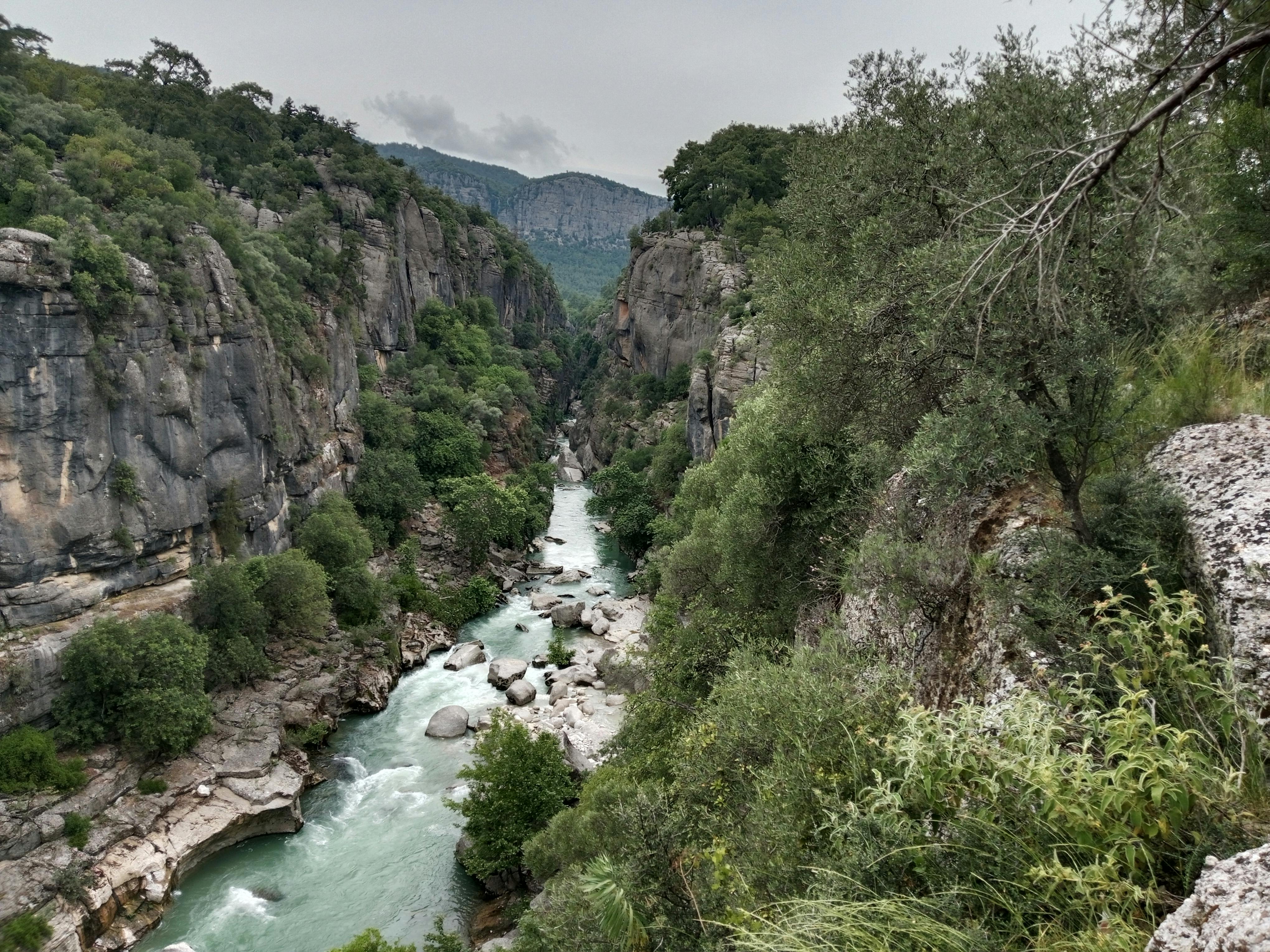 Ravin Khorsandi Photos, Download The BEST Free Ravin Khorsandi Stock ...