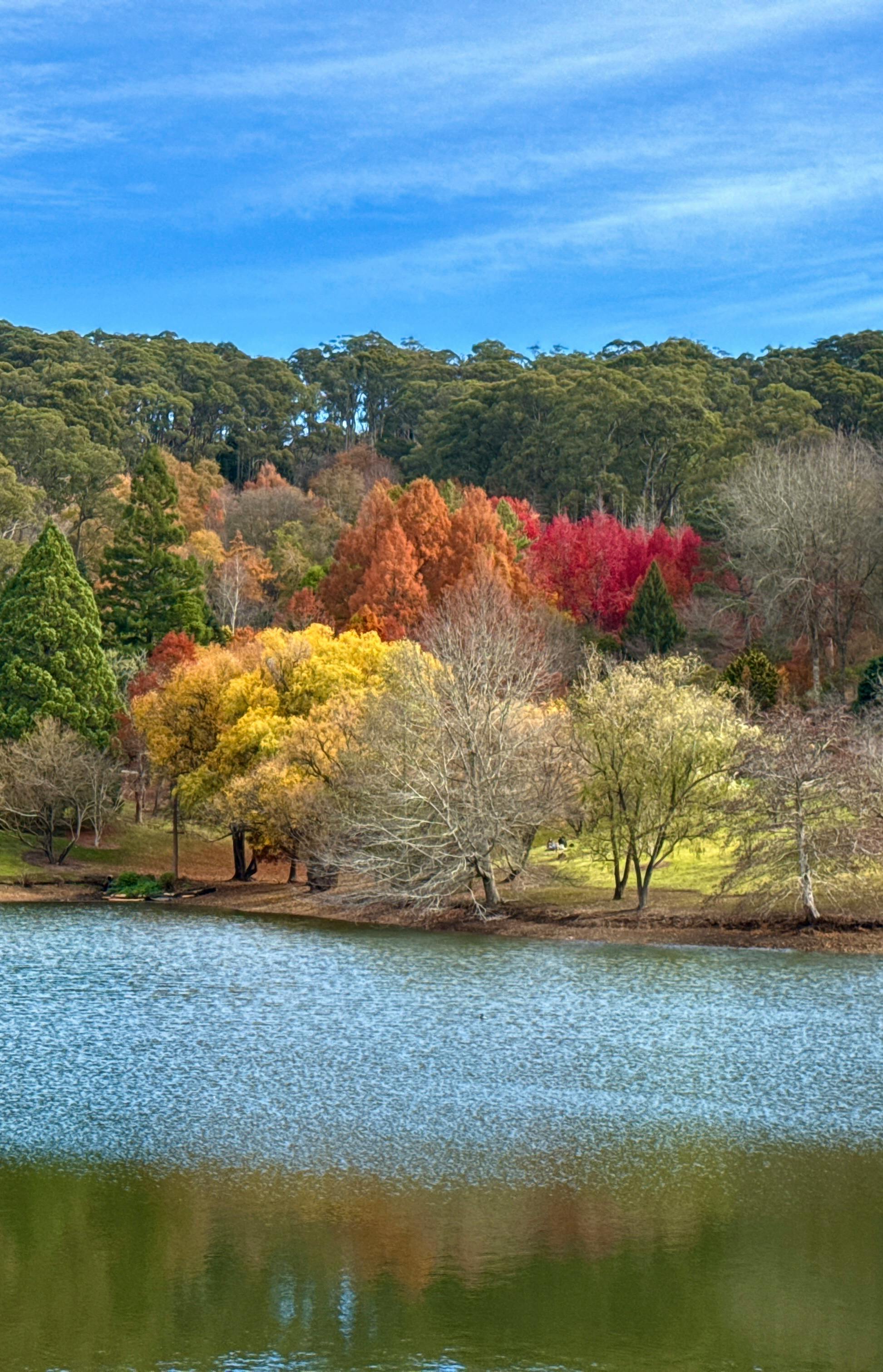 200.000+ melhores imagens de Monte+artificial+em+espiral+no+parque ...