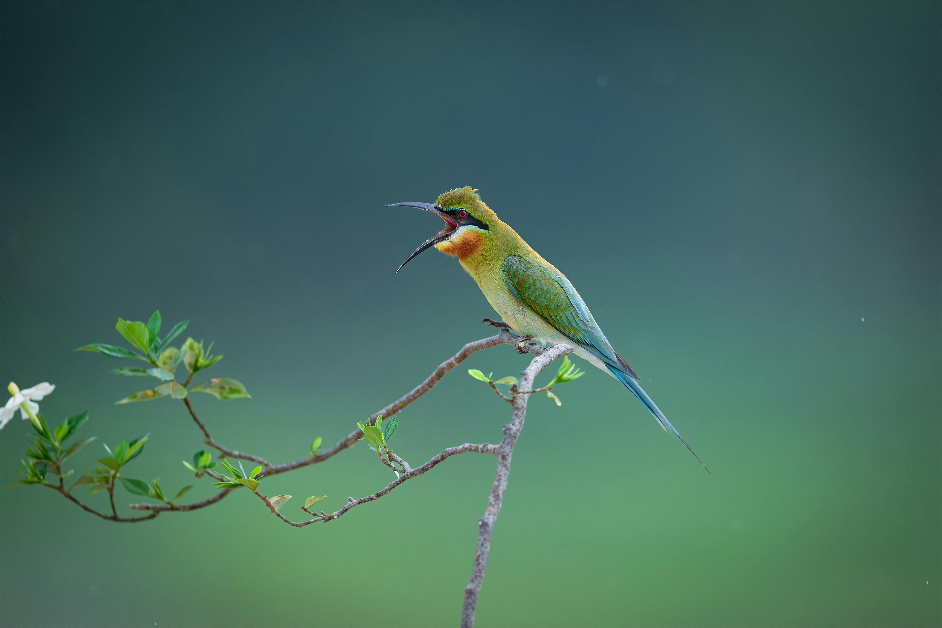 Gfx Background Photos, Download The BEST Free Gfx Background Stock ...