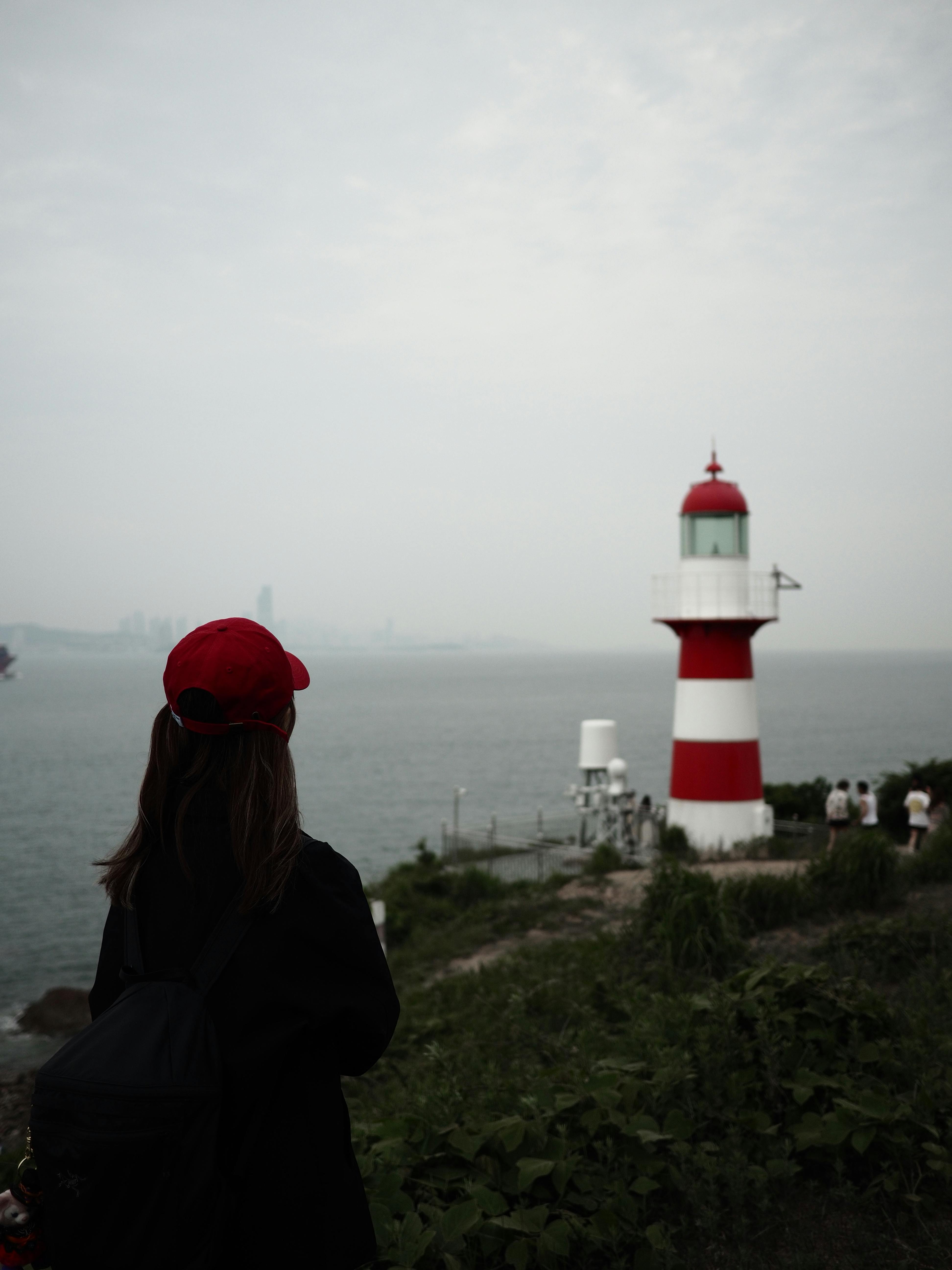 Shrek+Feet+Pictures Photos, Download The BEST Free Shrek+Feet+Pictures ...