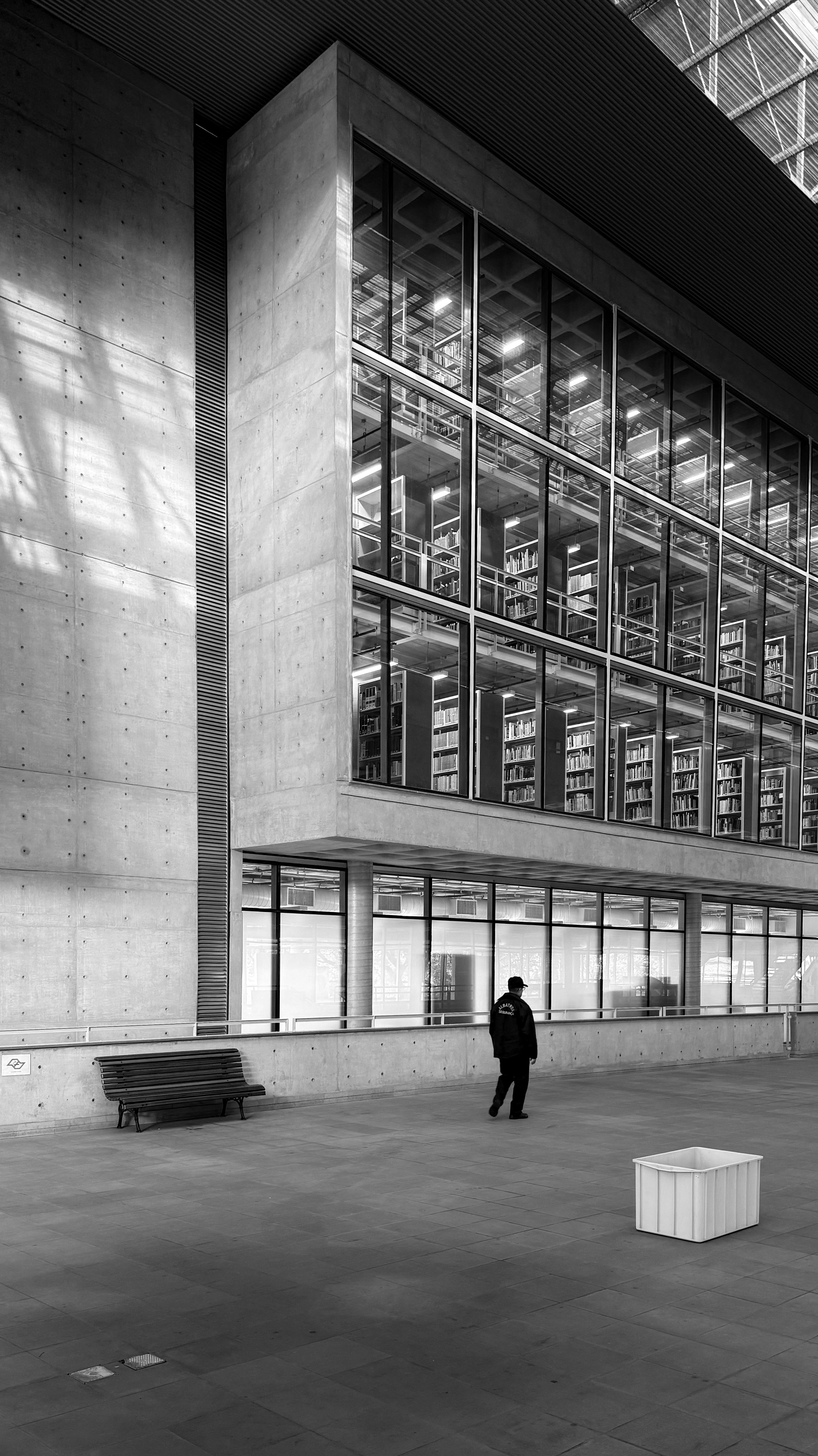 Modern Library Architecture with Concrete and Glass · Free Stock Photo