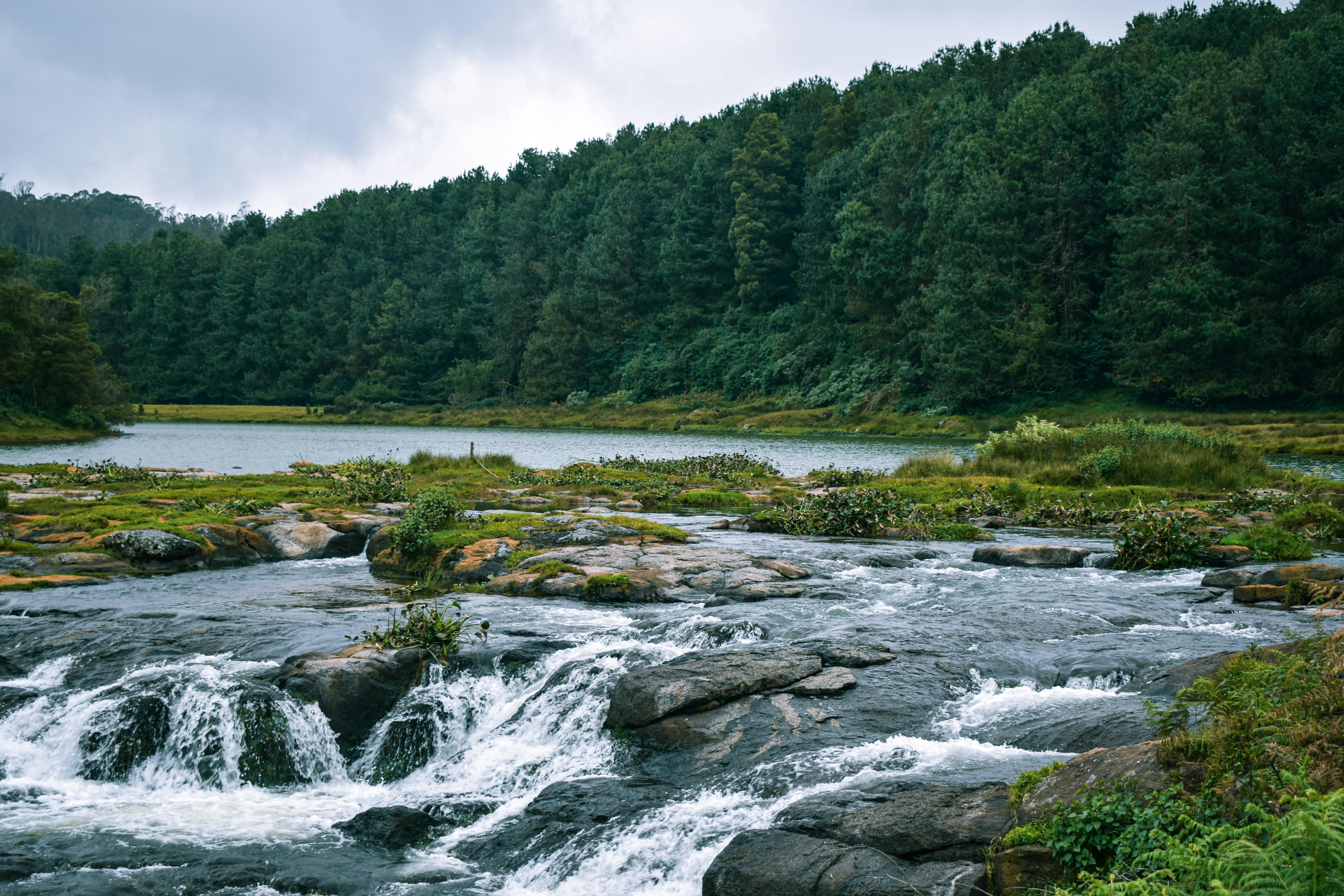 Scenic Landscape of Pykara Lake in Ooty, India · Free Stock Photo