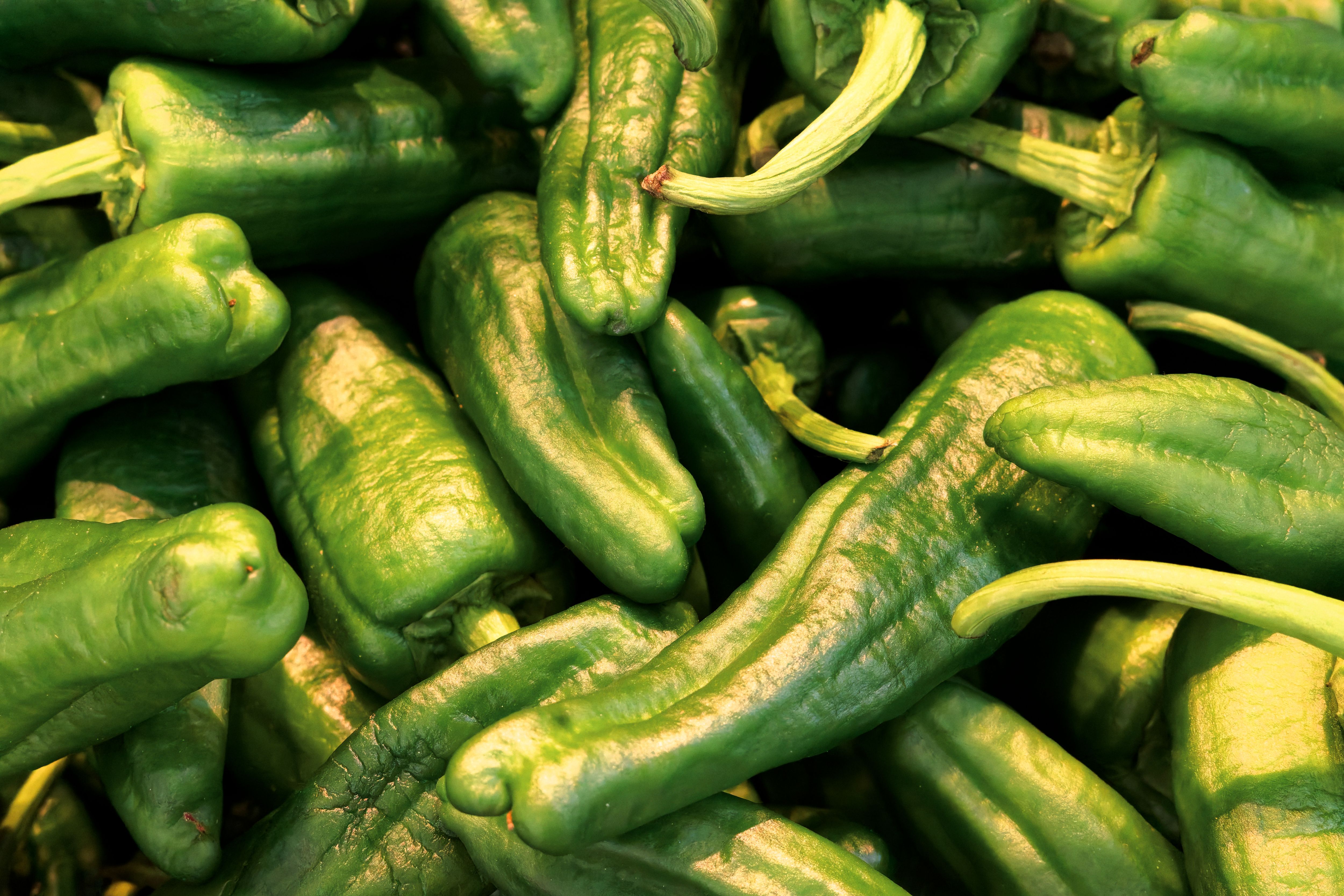 Fresh Green Peppers Displayed in Market · Free Stock Photo