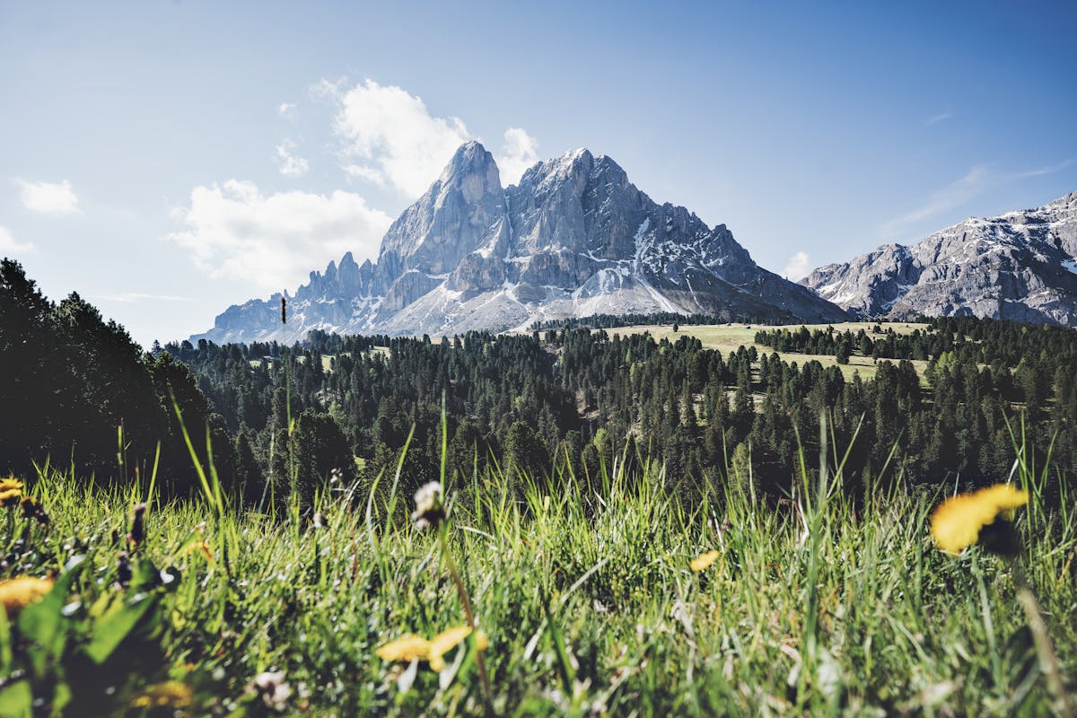 Alpine Photos, Download The BEST Free Alpine Stock Photos & HD Images