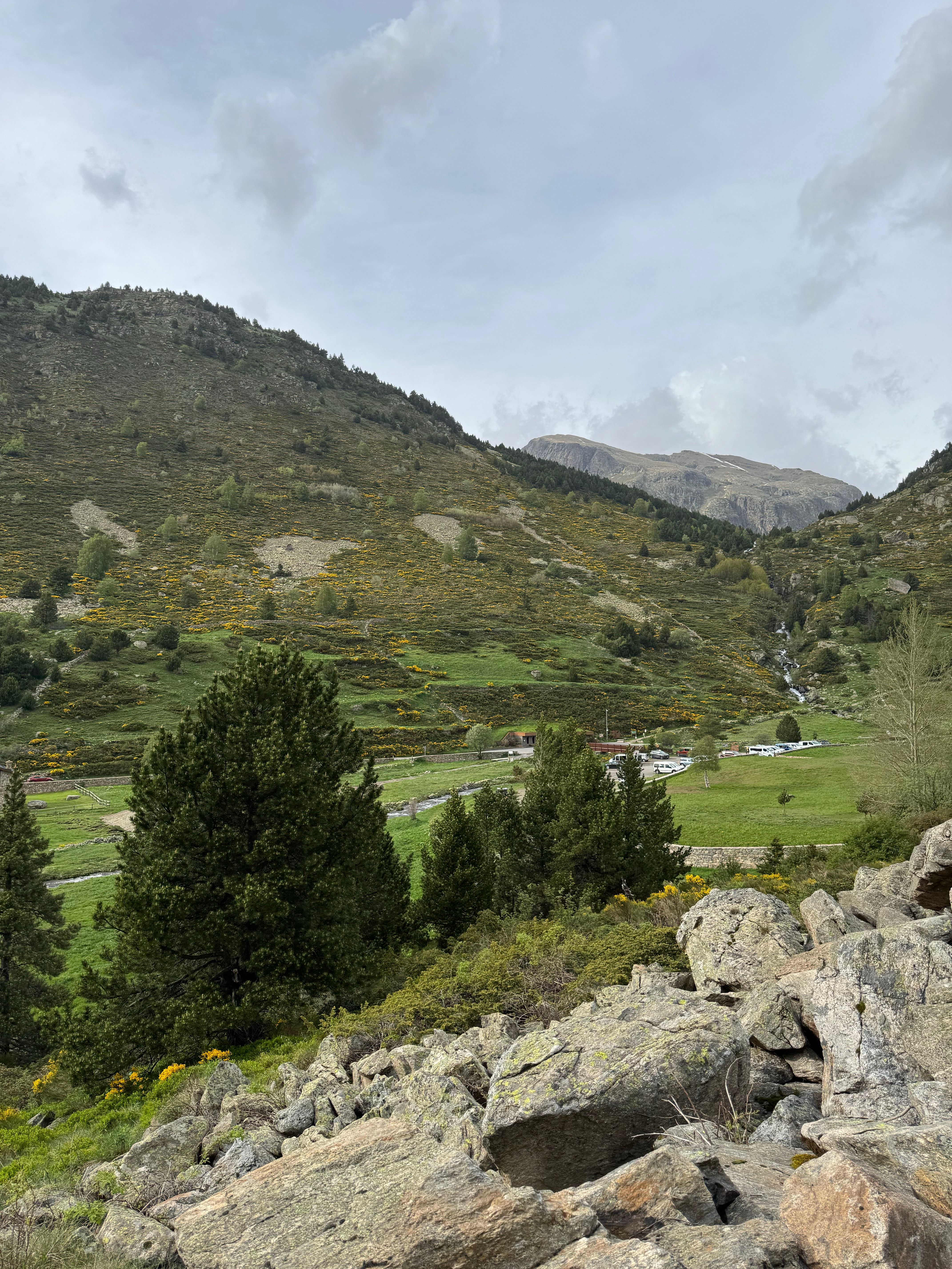 Scenic Mountain Valley with Flowing Stream · Free Stock Photo
