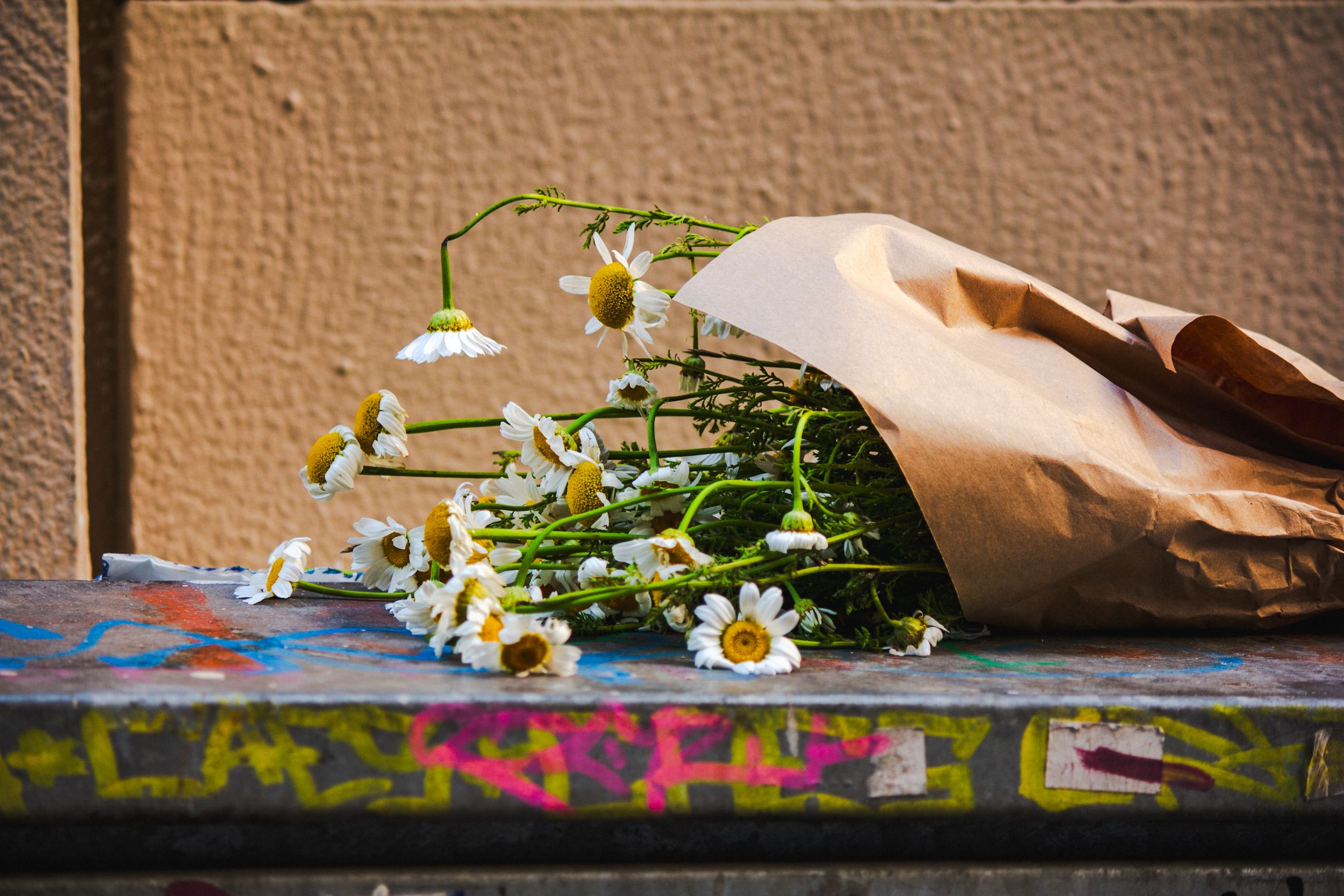 Surprise Website Background Photos, Download The BEST Free Surprise ...