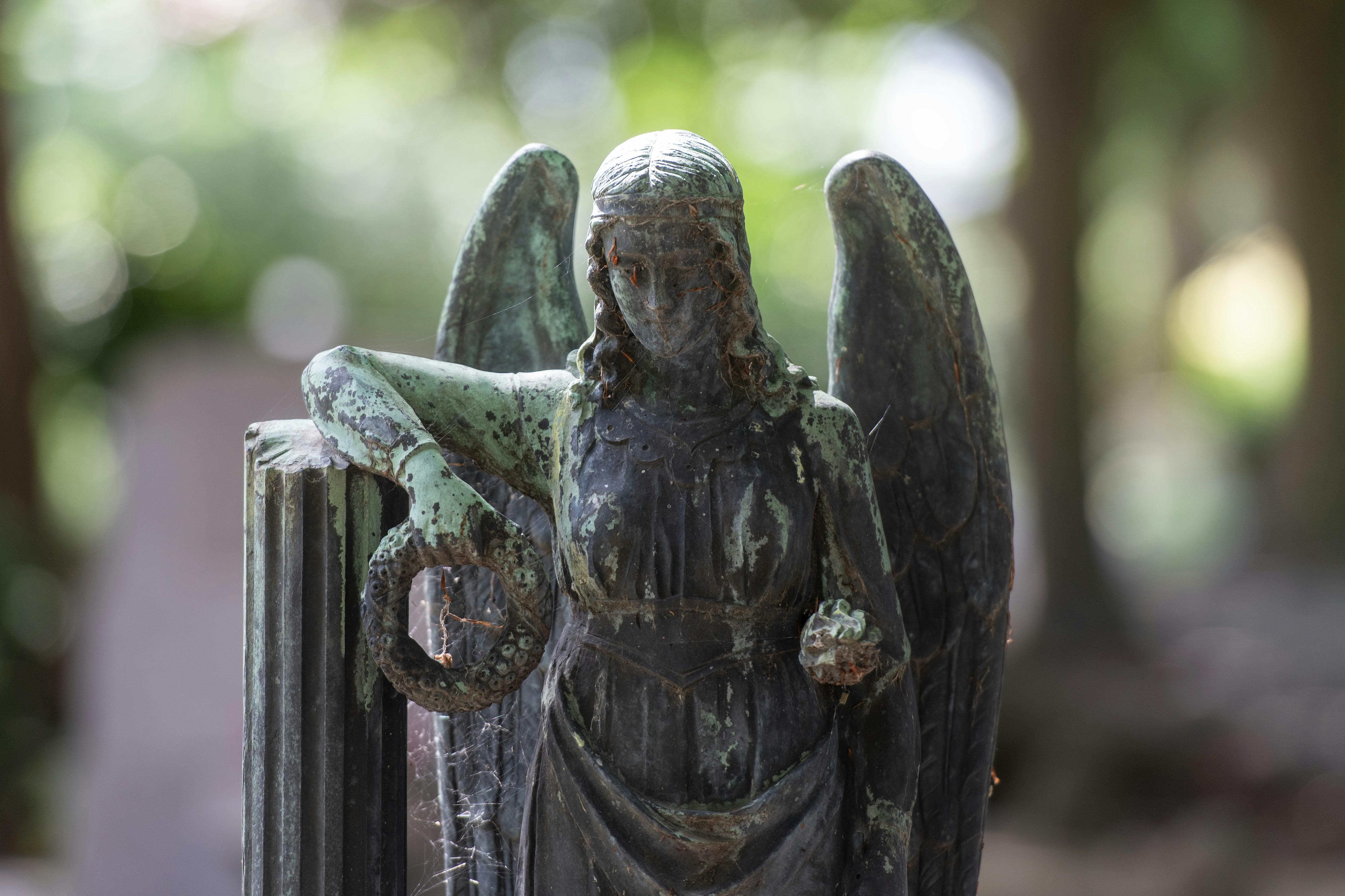 Ancient Angel Statue in Sunlit Cemetery · Free Stock Photo