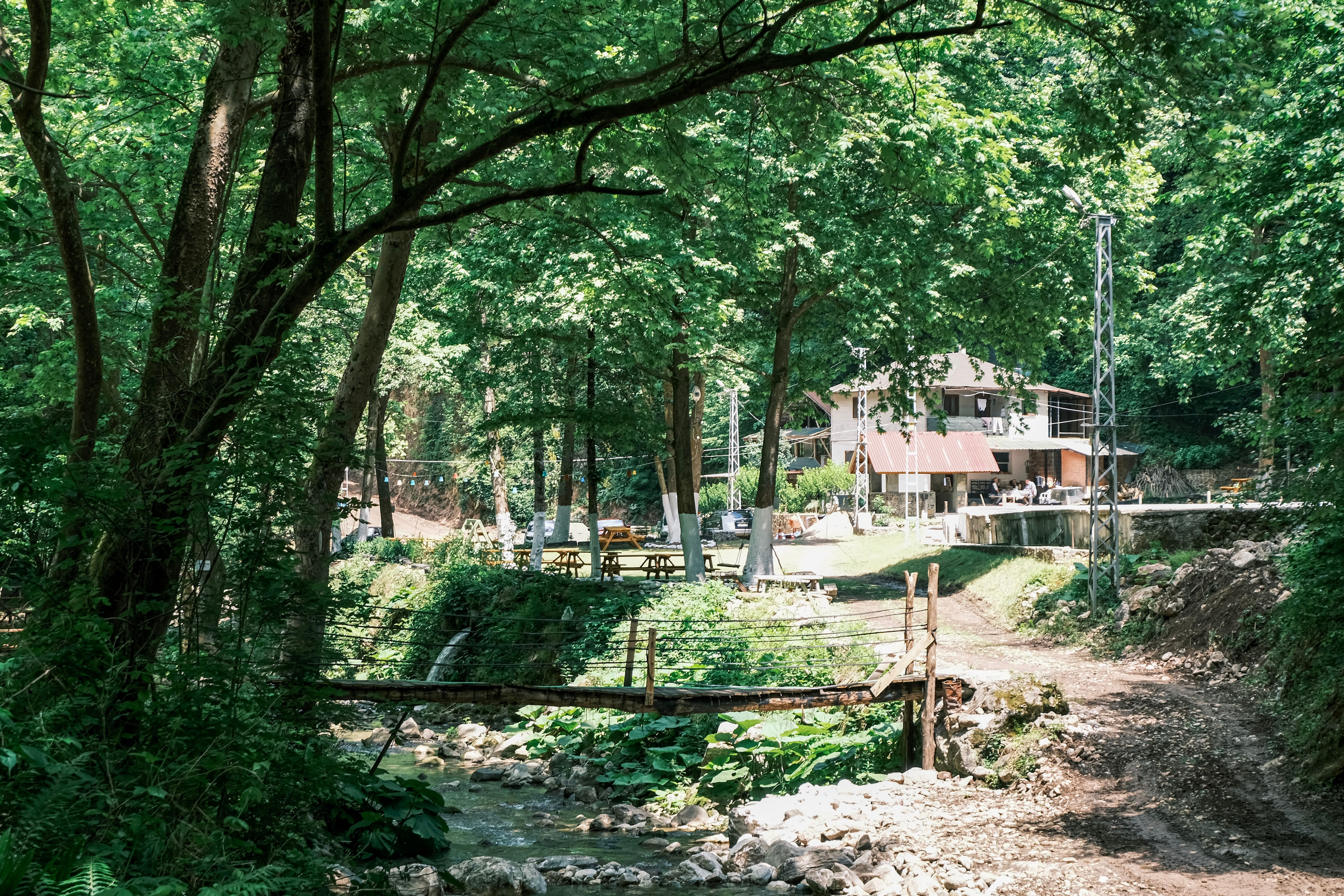 Charming Forest Retreat with Rustic Bridge · Free Stock Photo