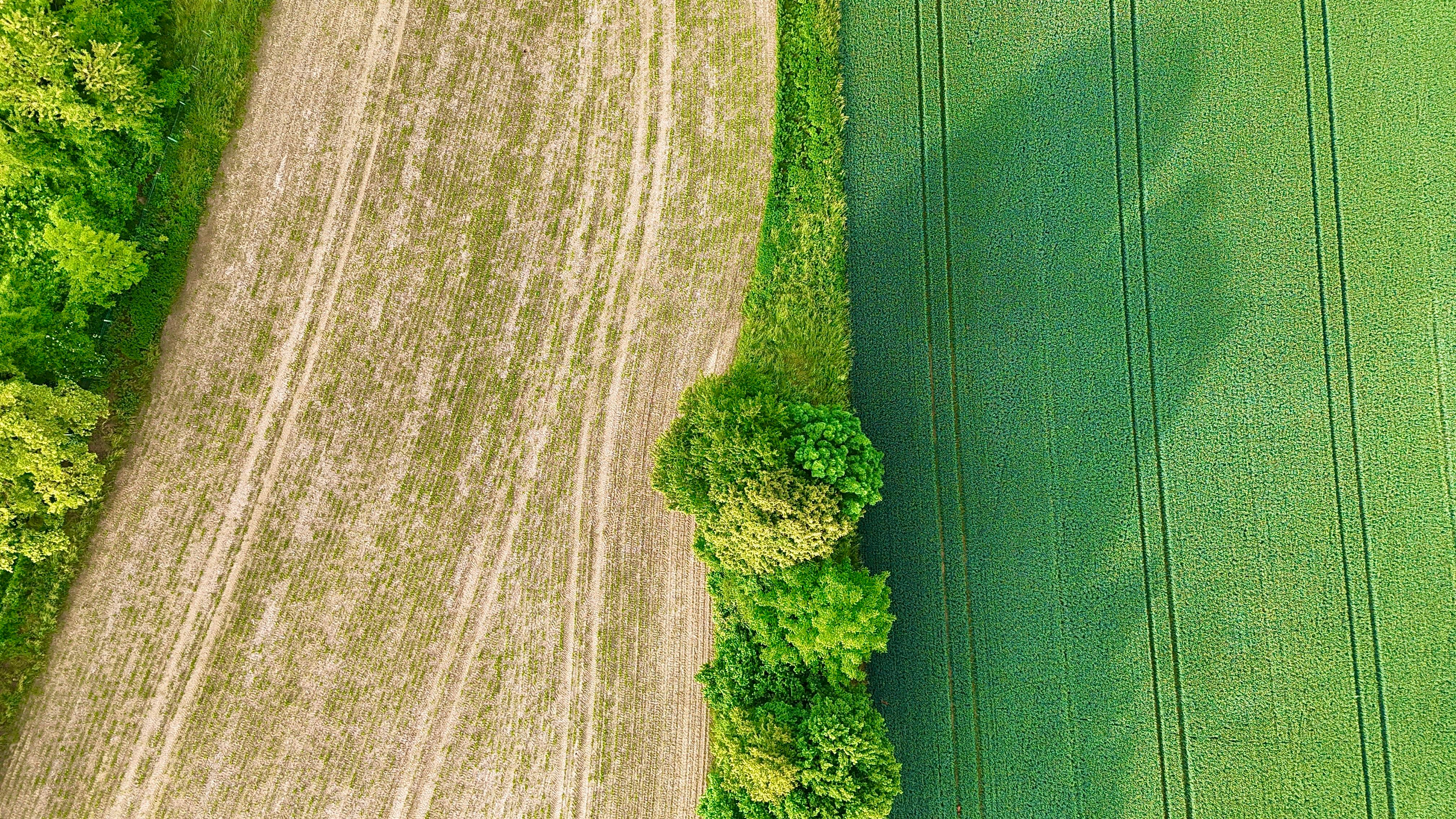 Farmland Plot Photos, Download The BEST Free Farmland Plot Stock Photos ...