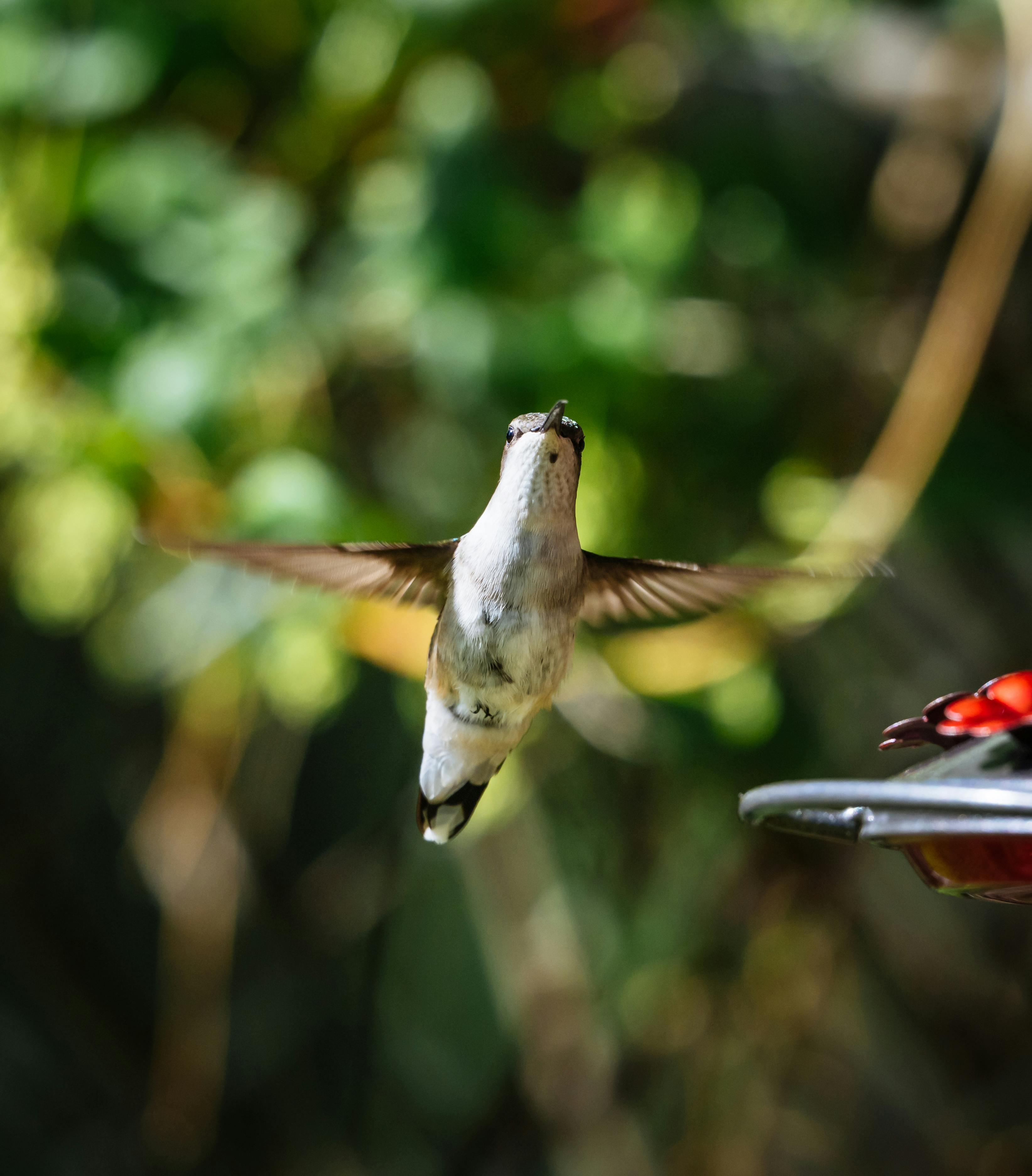 Behavior Photos, Download The BEST Free Behavior Stock Photos & HD Images