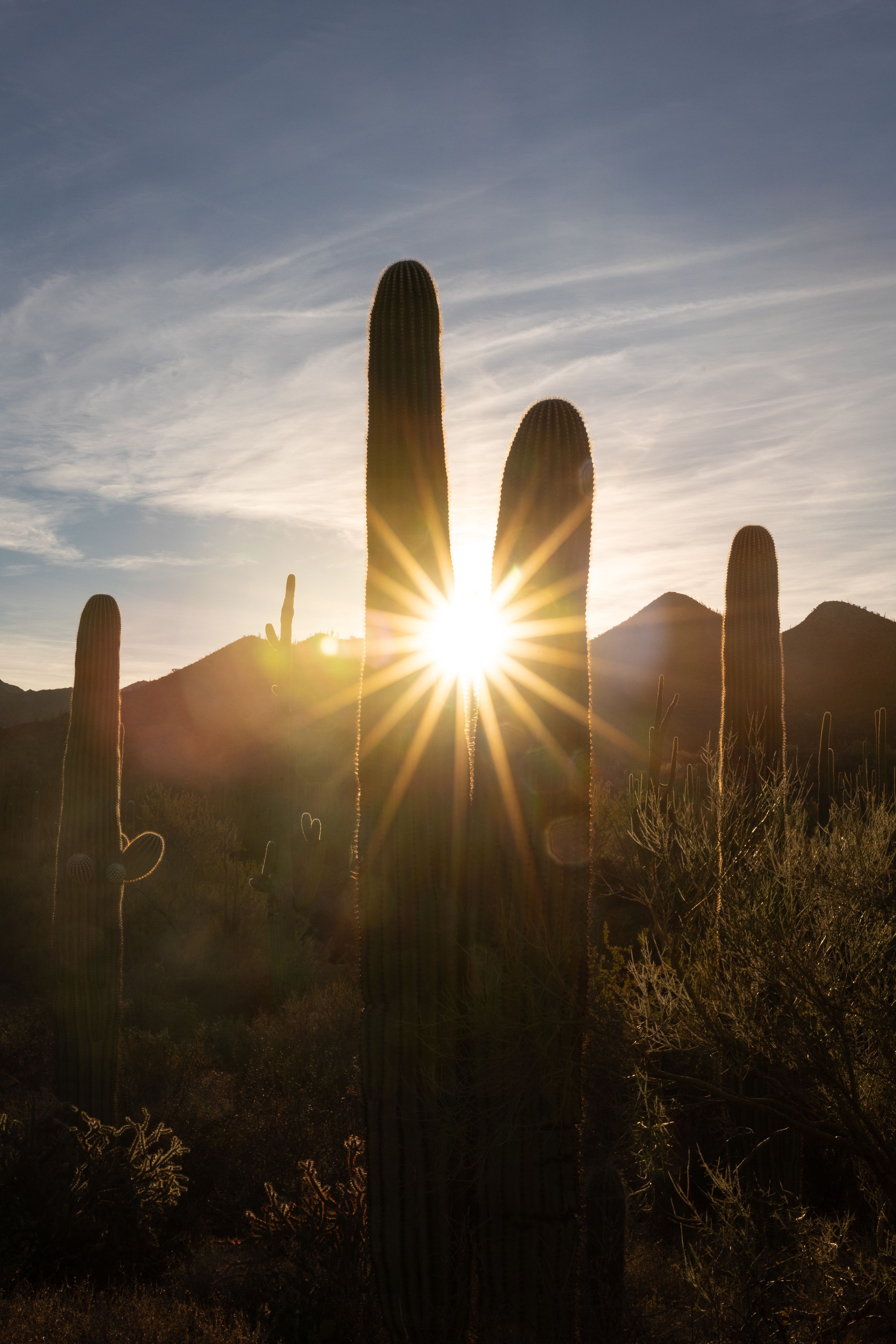 Desert Landscape Photos, Download The BEST Free Desert Landscape Stock ...