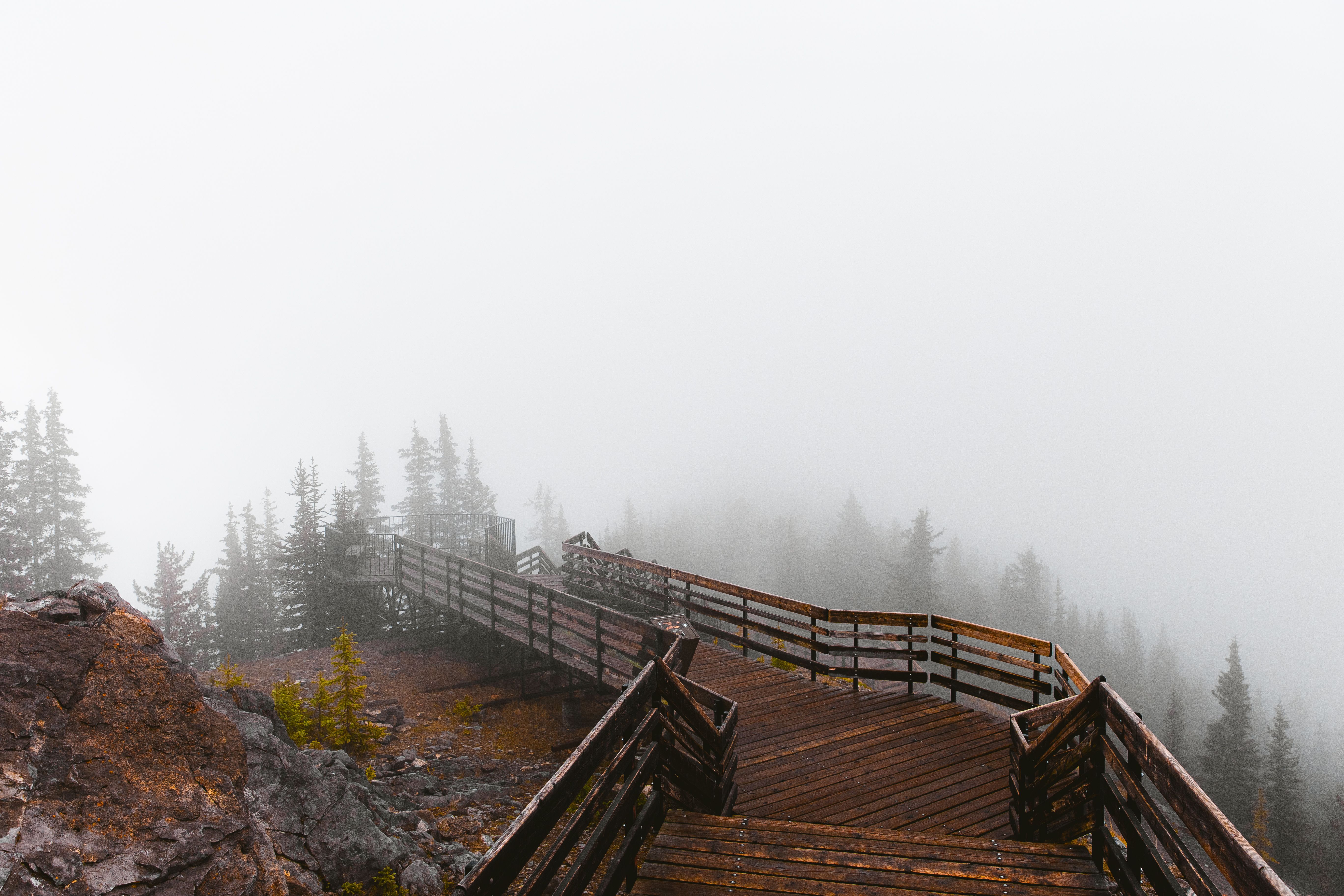 Foggy Wooden Path in Banff National Park · Free Stock Photo