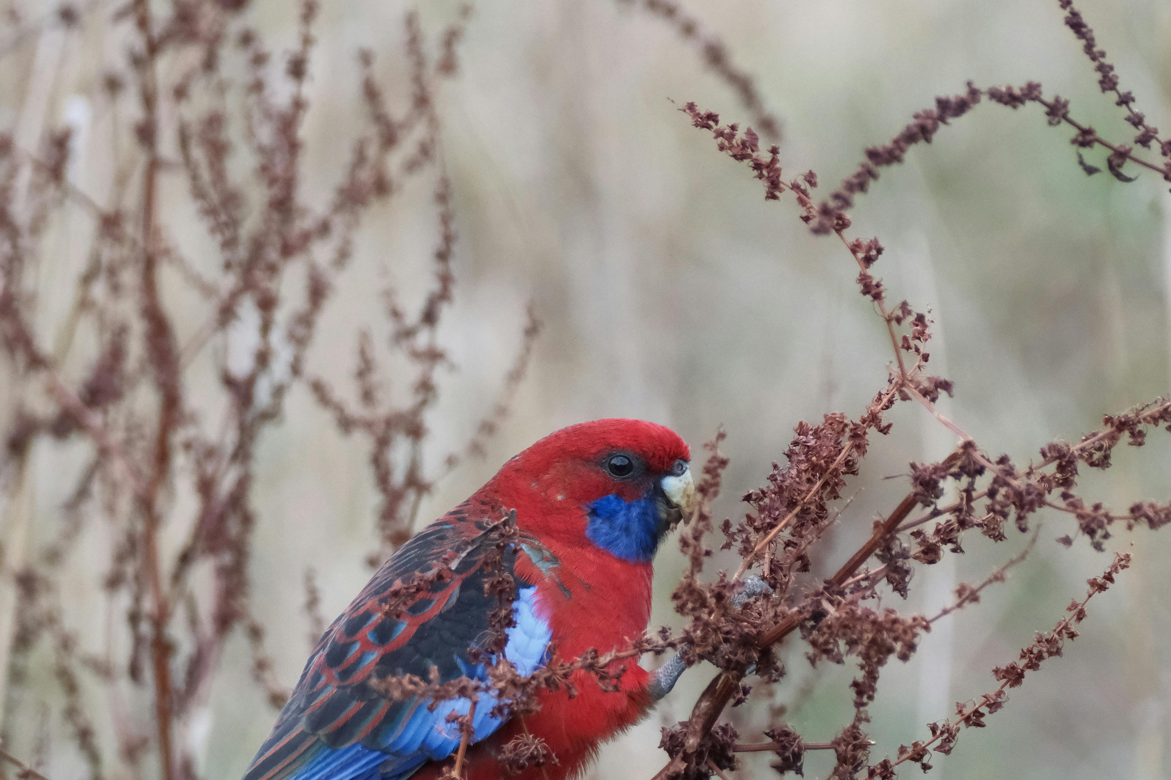 200.000+ melhores imagens de Monte+artificial+em+espiral+no+parque ...
