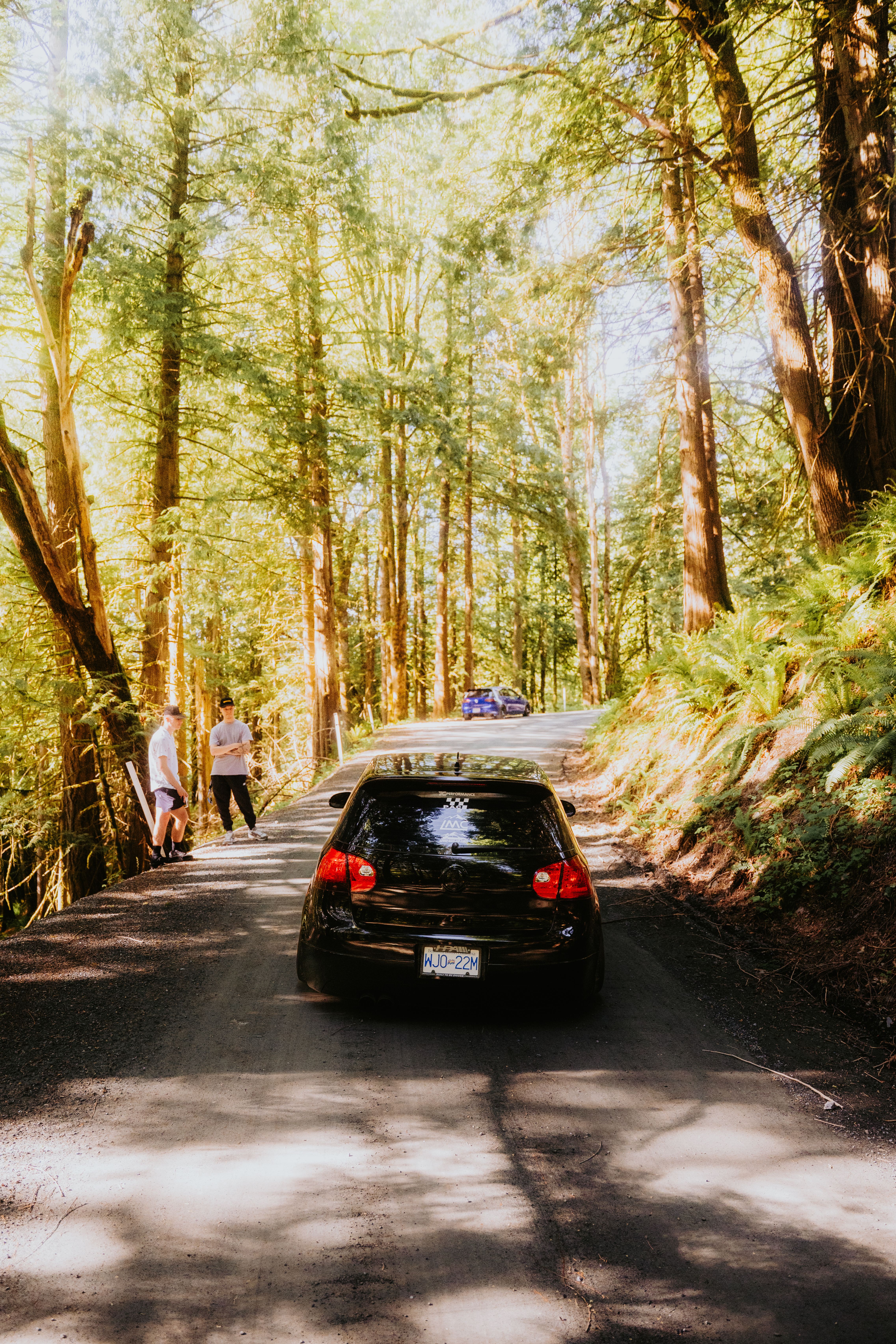 Scenic Drive Through Sunlit Forest Road · Free Stock Photo